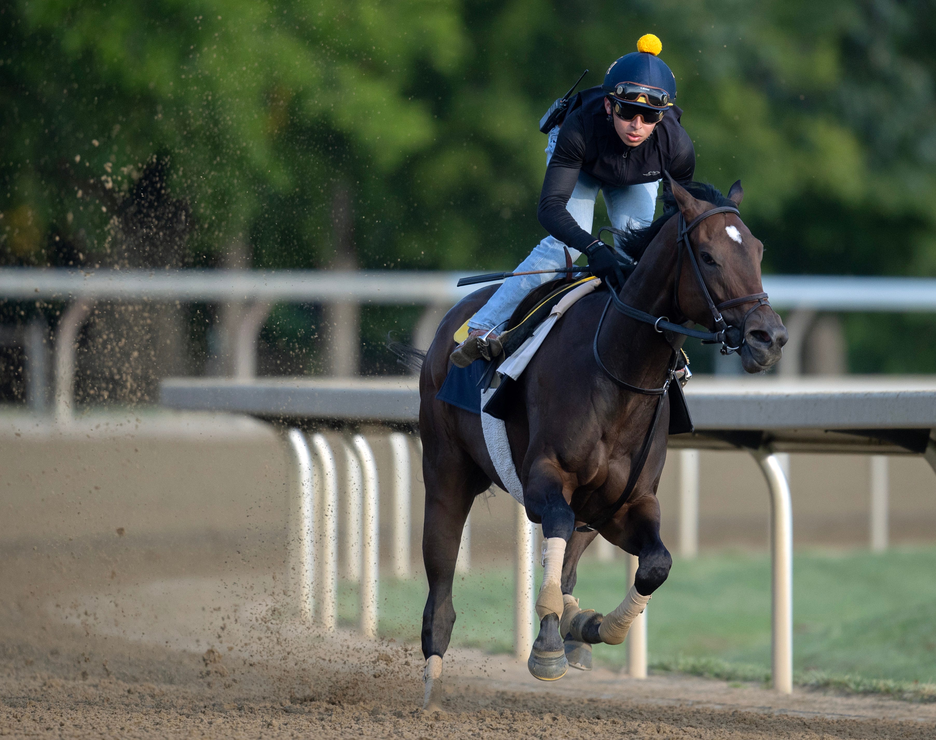Scottish Lassie still on course for Breeders' Cup Distaff