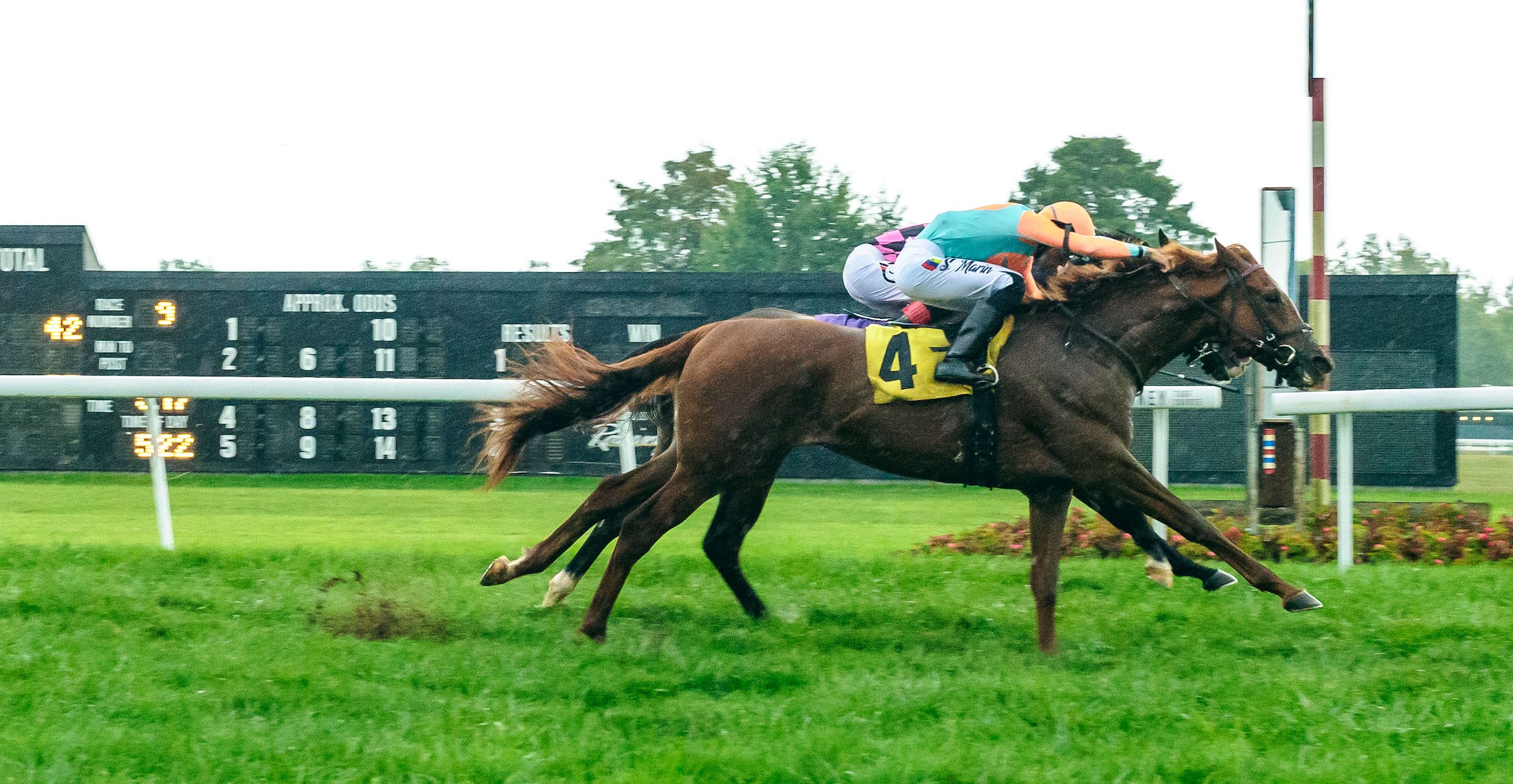Soleil Volant noses Thundering in Kent for first stakes win
