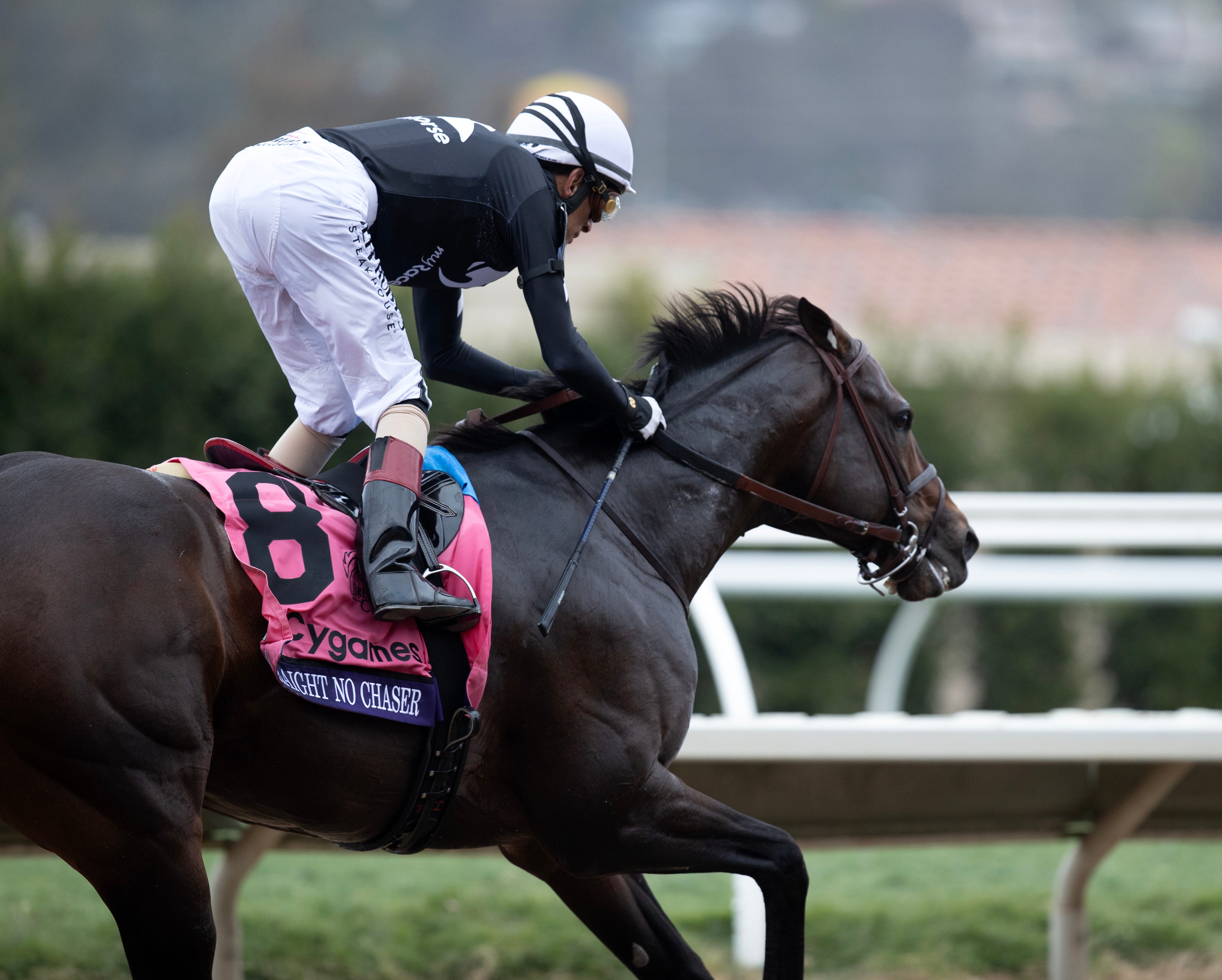 Straight No Chaser will follow familiar route to Breeders' Cup Sprint