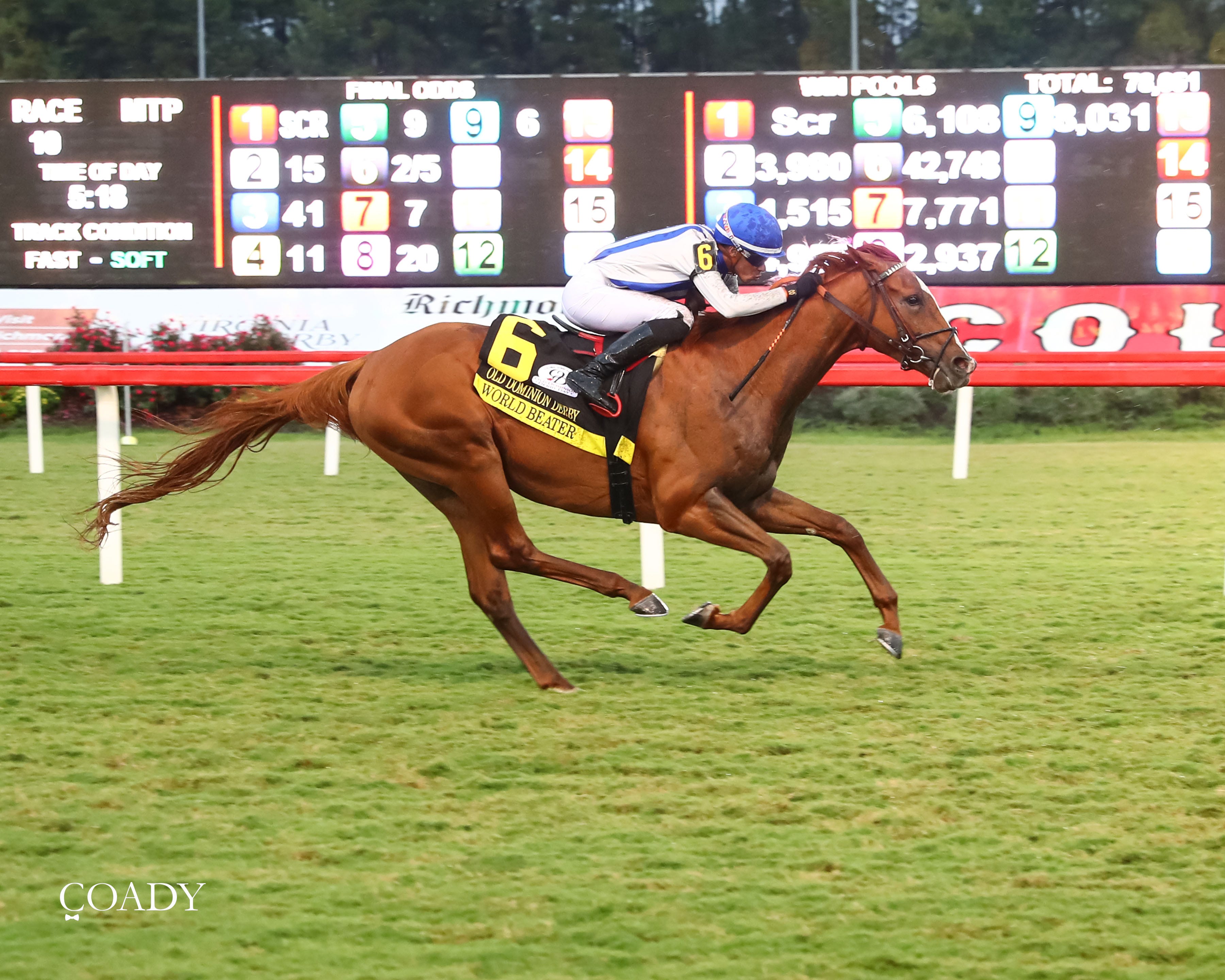 World Beater just too good in Old Dominion Derby