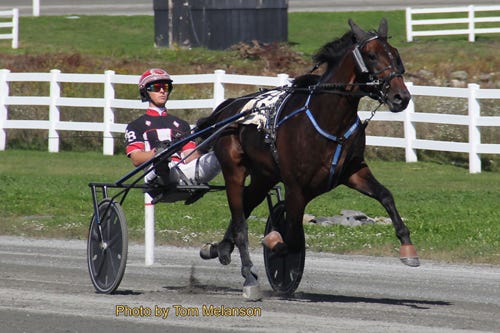 Plainridge: This year's Massachusetts Breeders Stakes begin