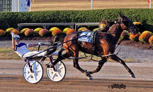 Delaware County Fair: Rodeo Drive Deo reigns in Jugette