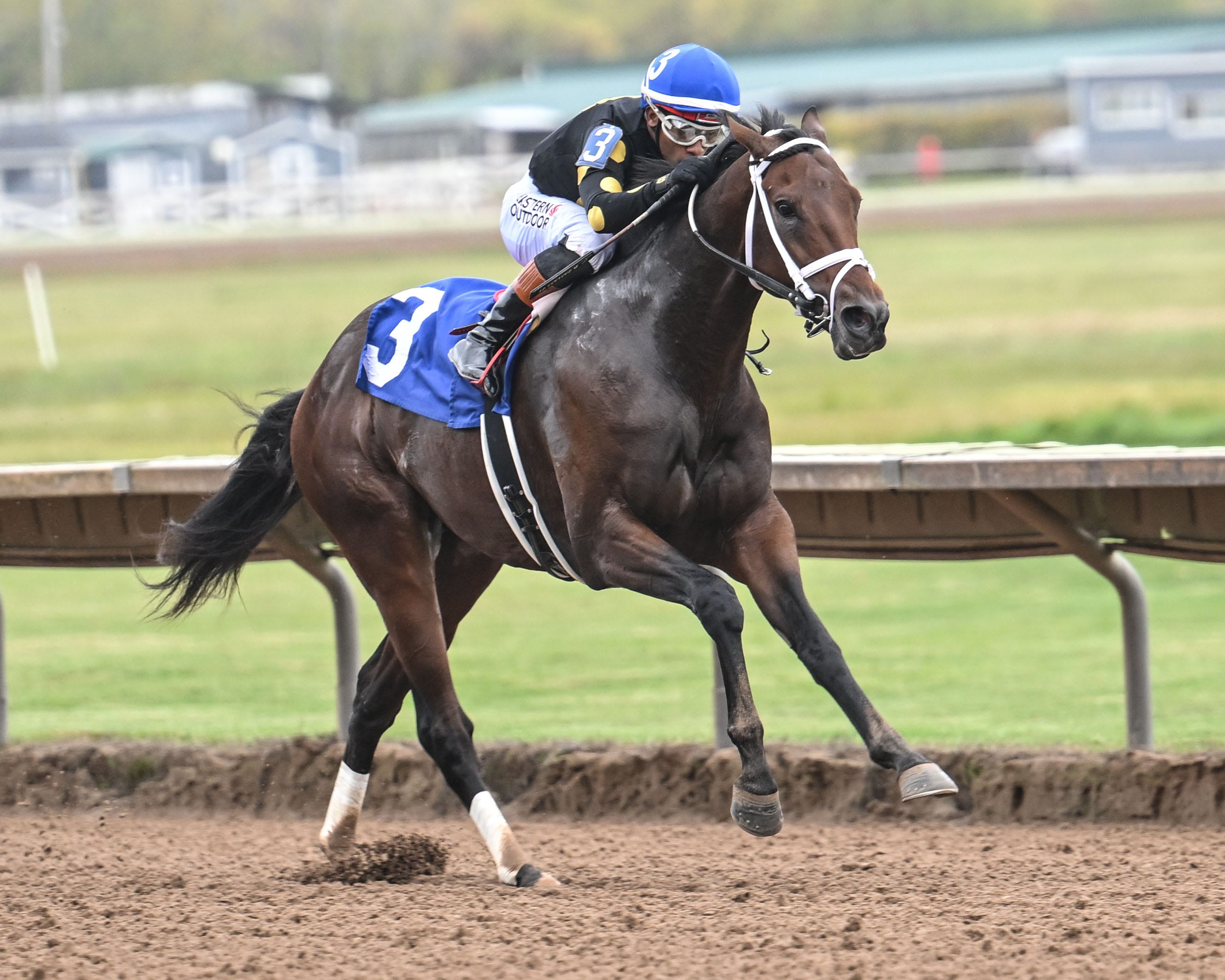 Arctic Beast lands easy victory in New York Breeders' Futurity
