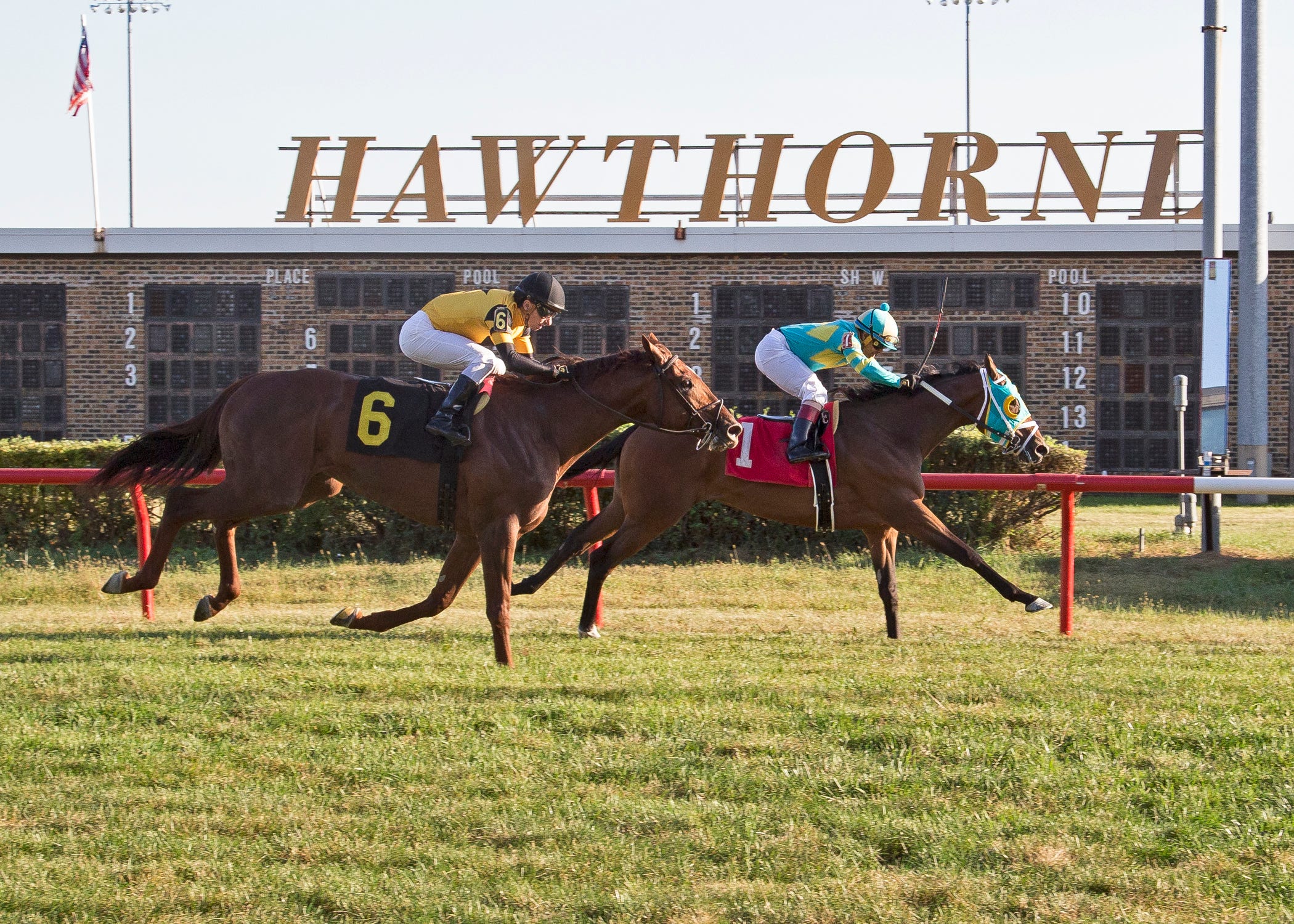 Anegada rides the rail to Hawthorne Derby triumph