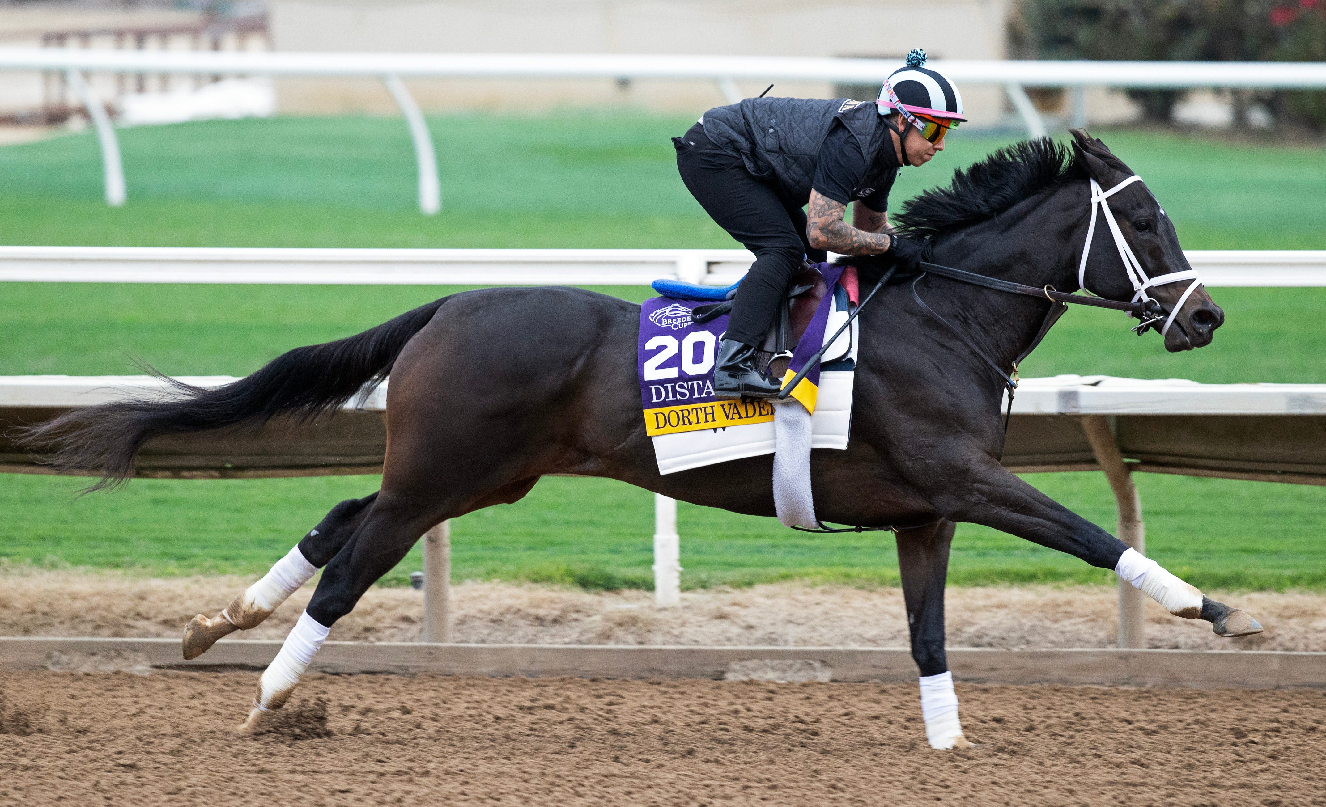 Breeders' Cup clocker: Journalism, Dorth Vader look sharp in morning works