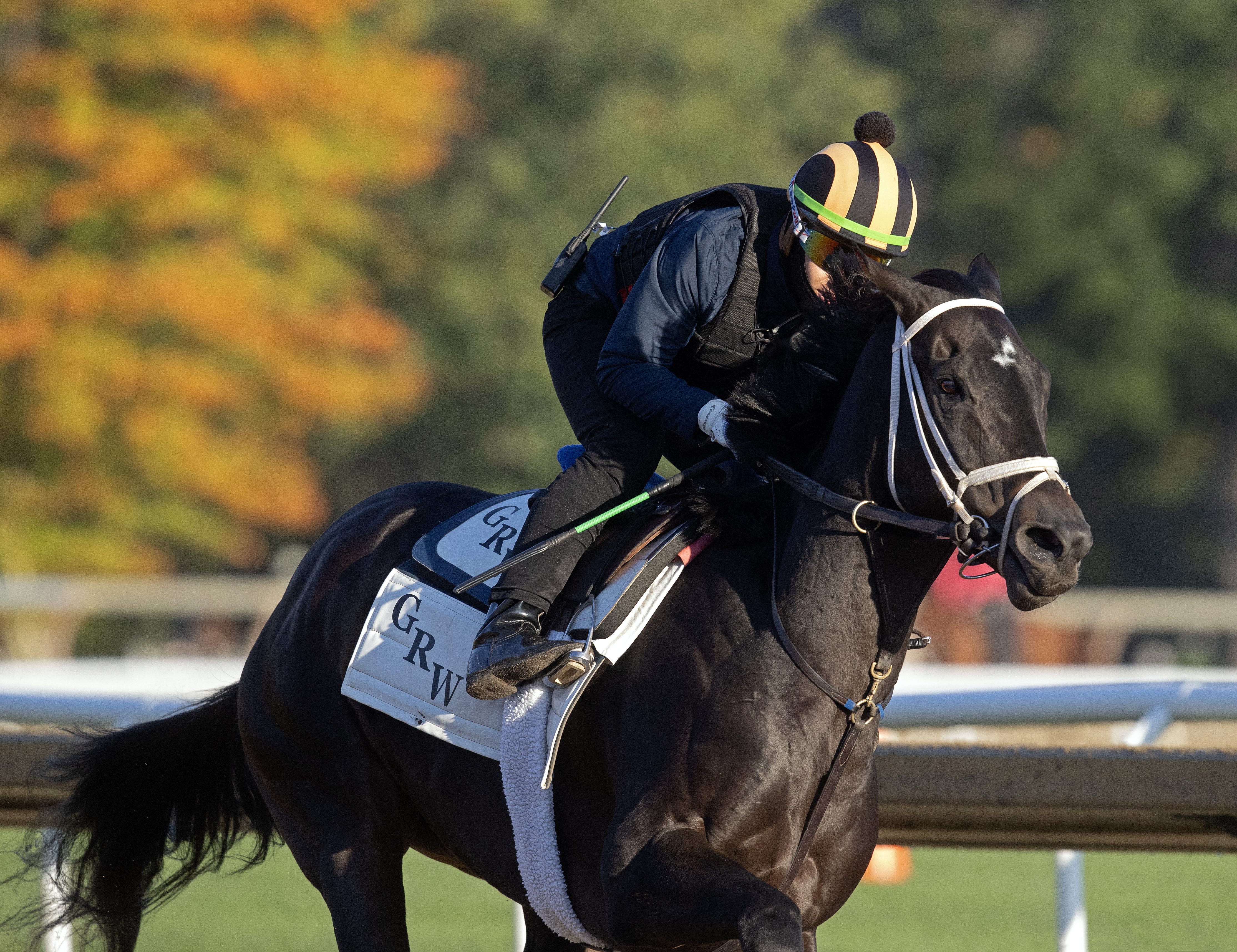 Dorth Vader leads Weaver's Breeders' Cup charge