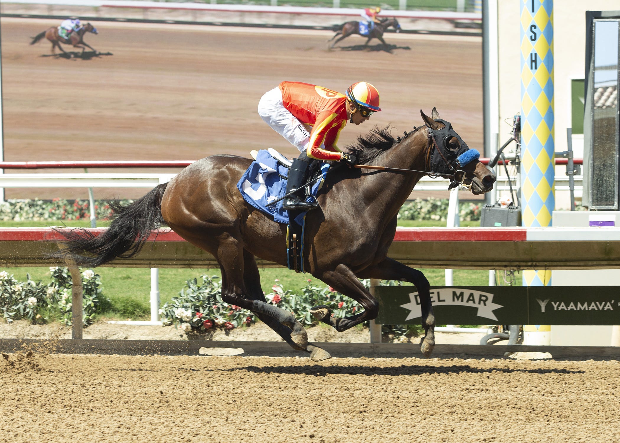 Conflicting sentiments lead to bettors' conundrum in Oak Leaf