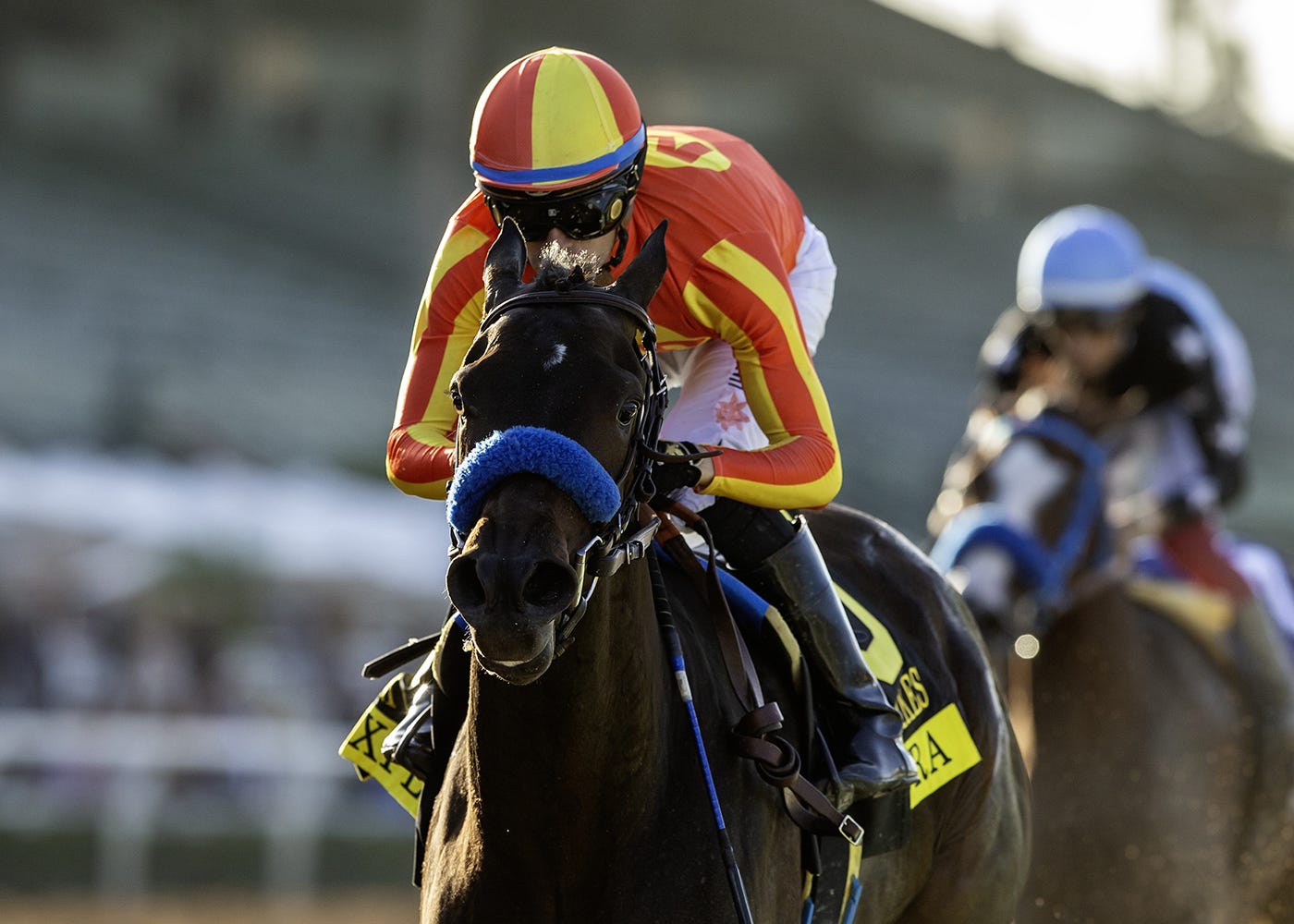Baffert horses work toward Breeders' Cup juvenile races