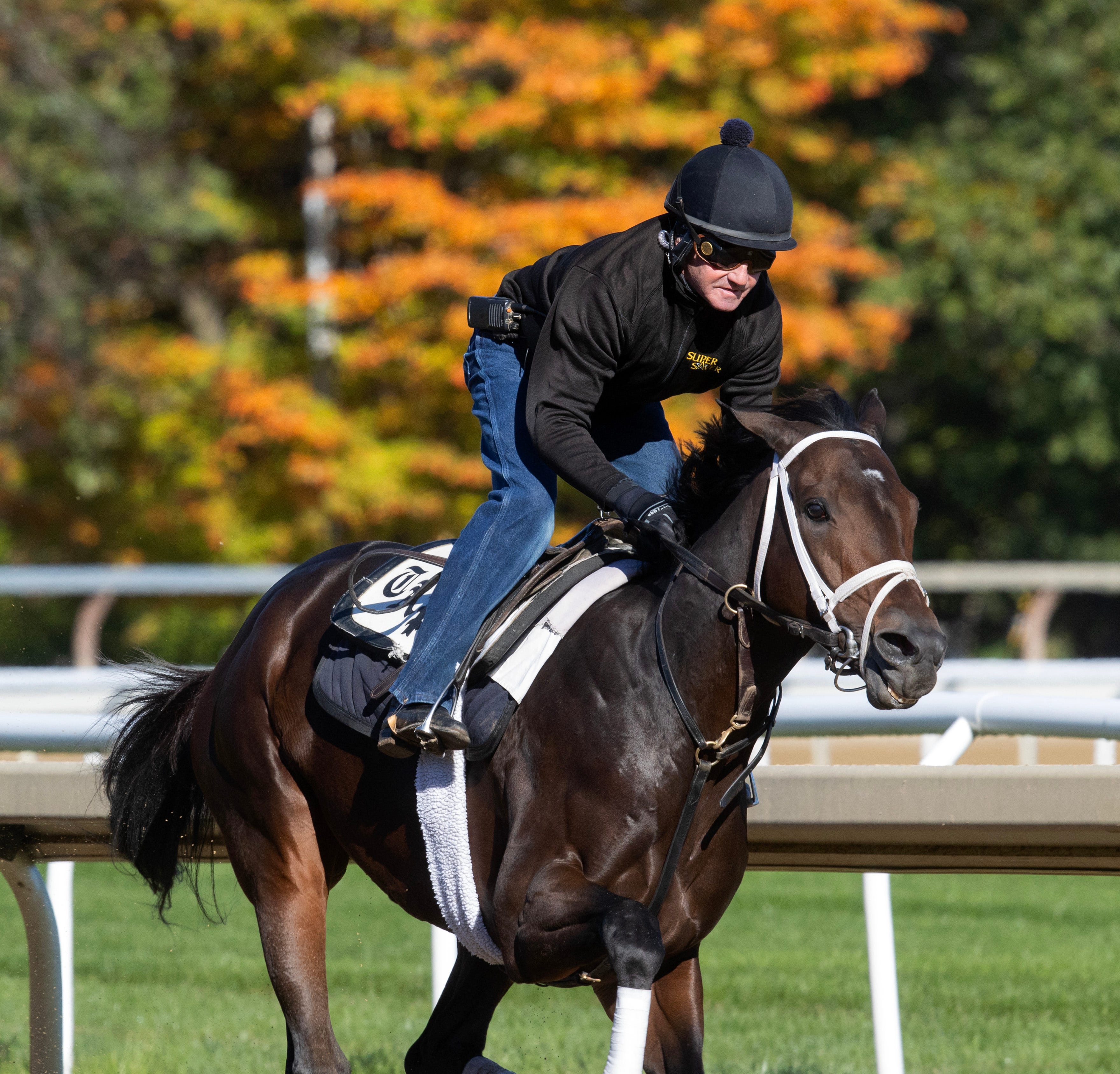 Breeders' Cup Classic: Pletcher gets some serious work into his trio of ...