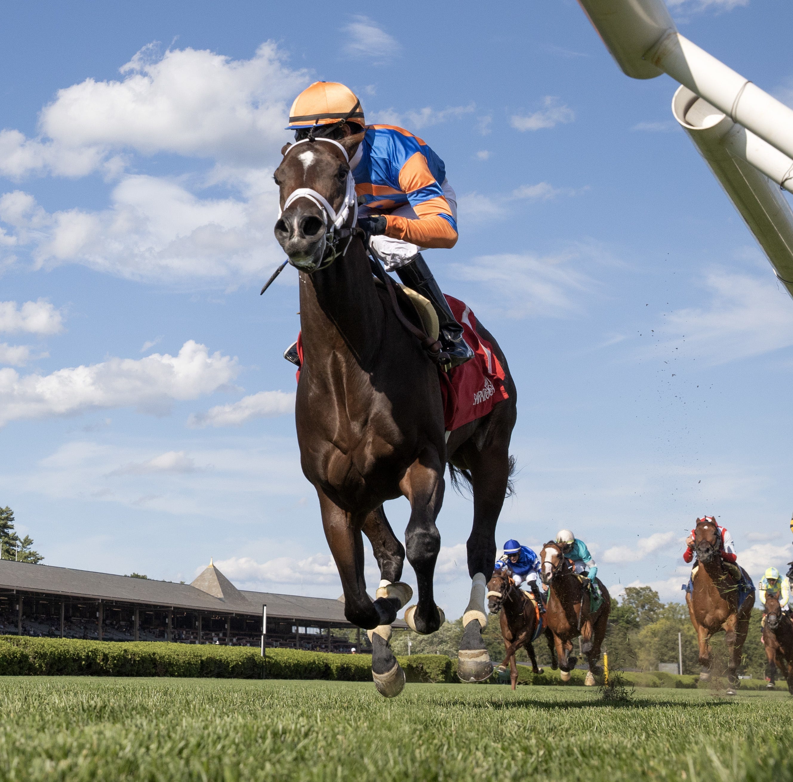 Final Score may have to do things differently in the Bourbon Stakes