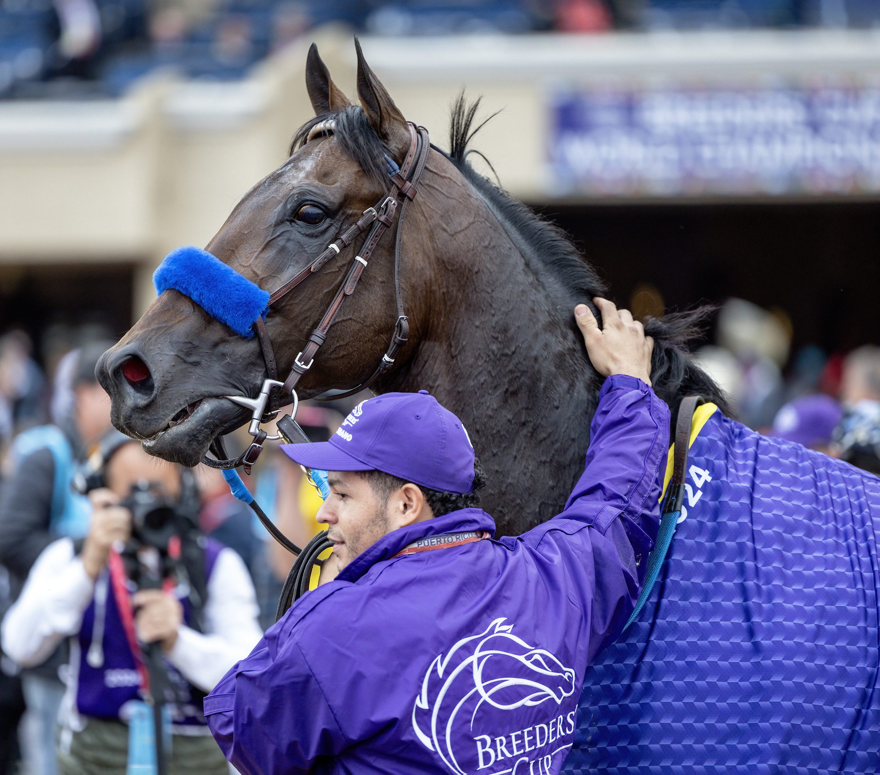 Breeders' Cup Dirt Mile: Sadler pleased with Full Serrano's five ...