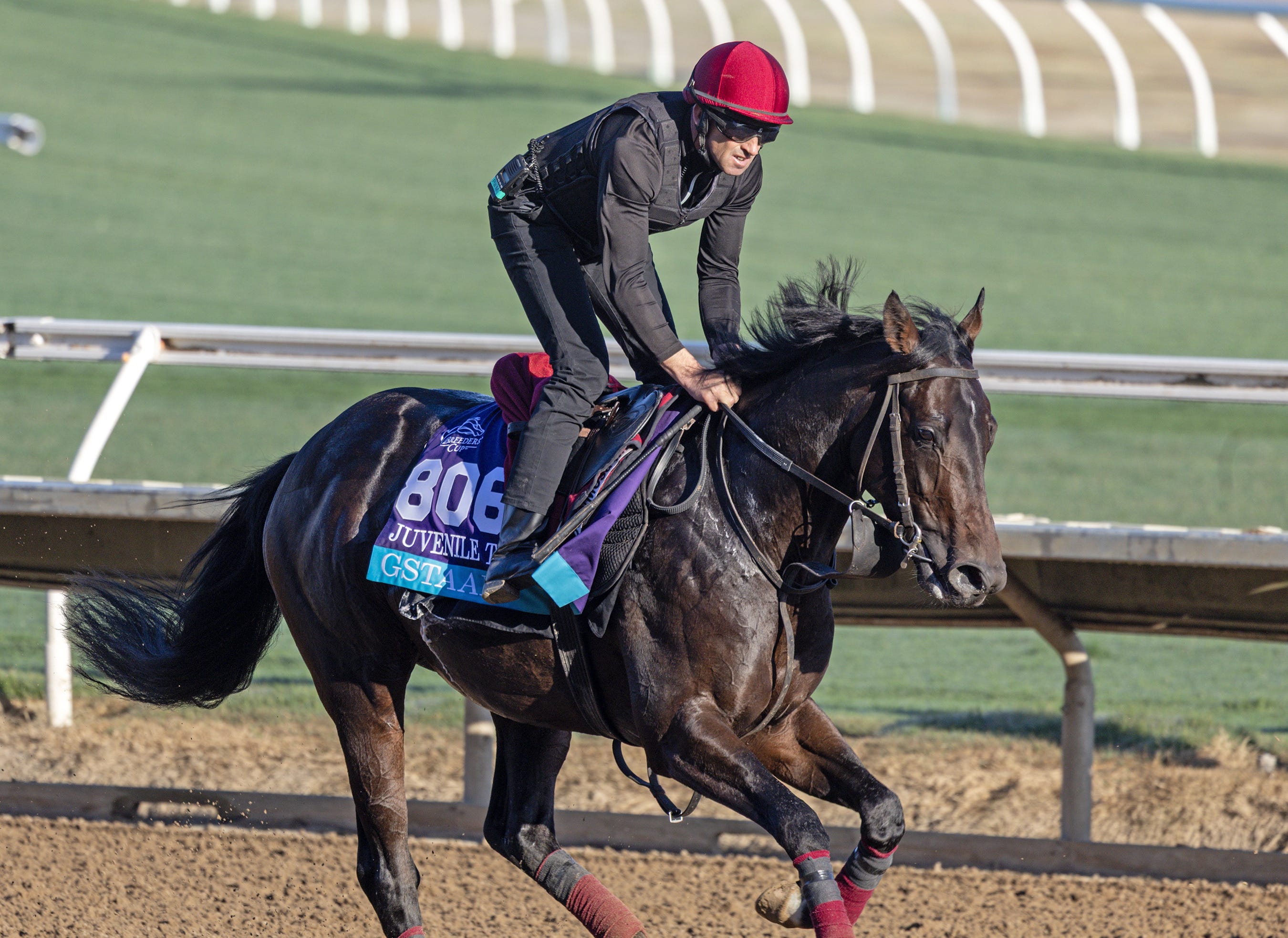 Breeders' Cup Juvenile Turf: Heavily favored Gstaad must overcome ...