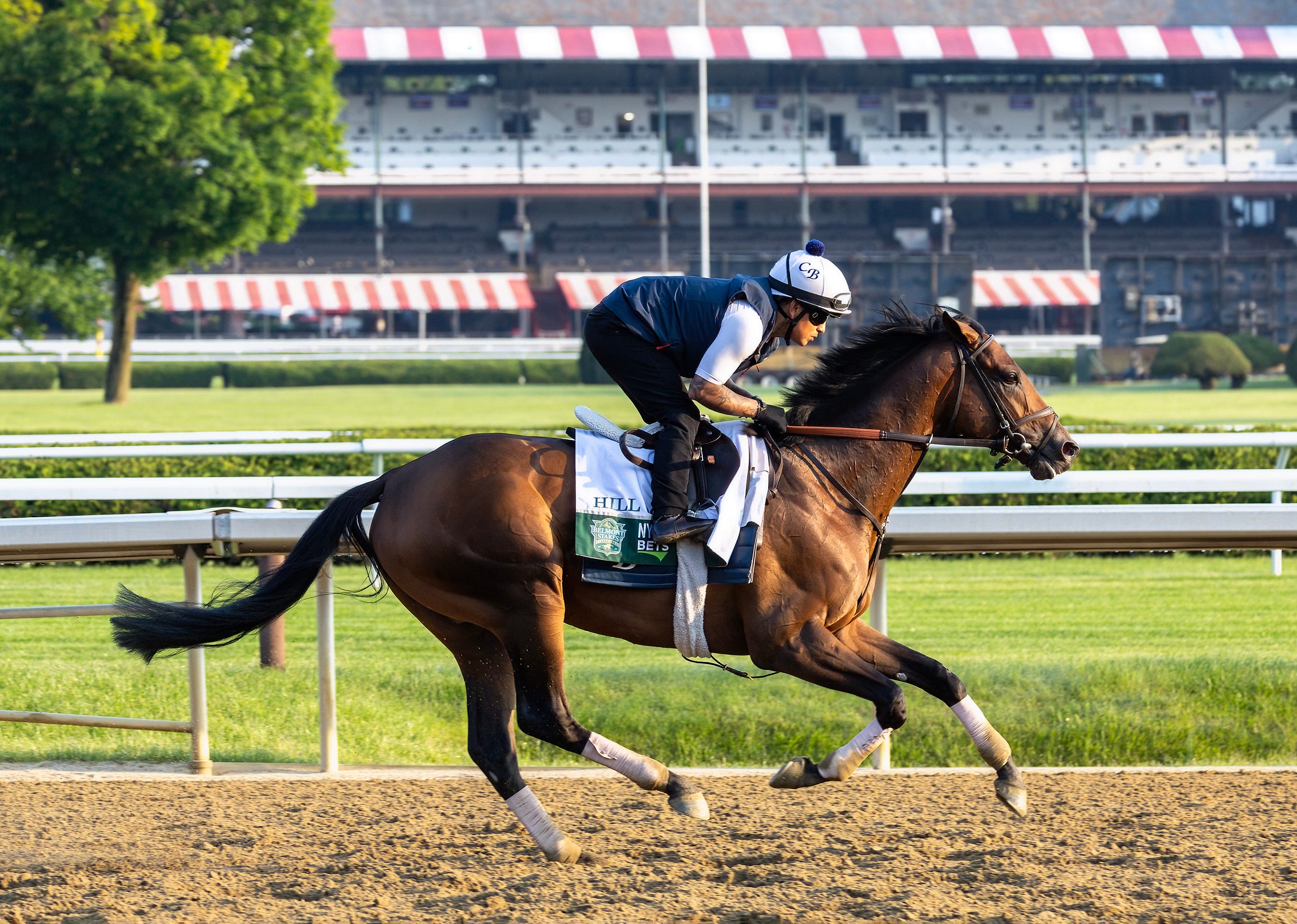 Turf experiment continues for Hill Road in Jockey Club Derby