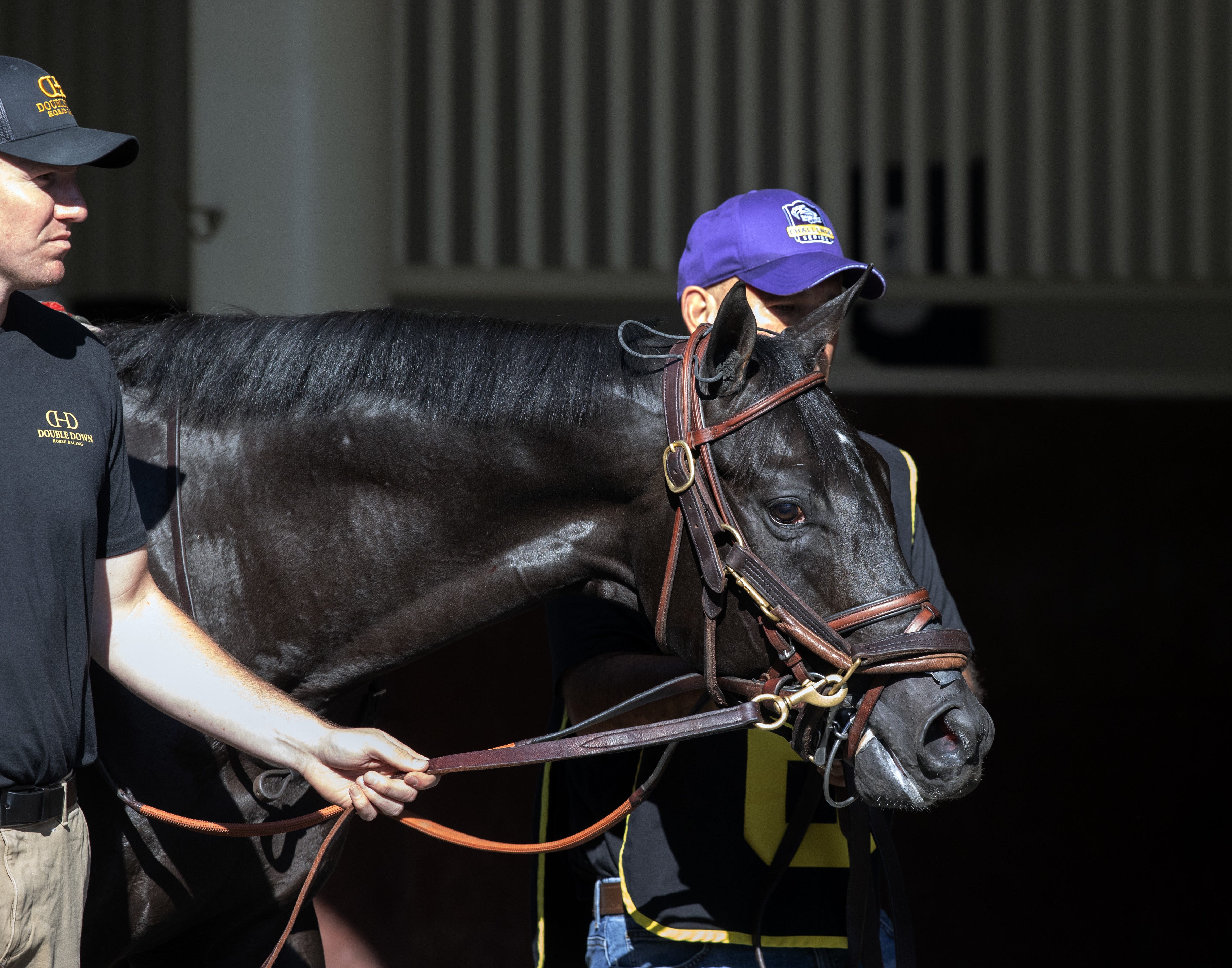 It's Our Time to skip Breeders' Cup, likely to run in Kentucky next