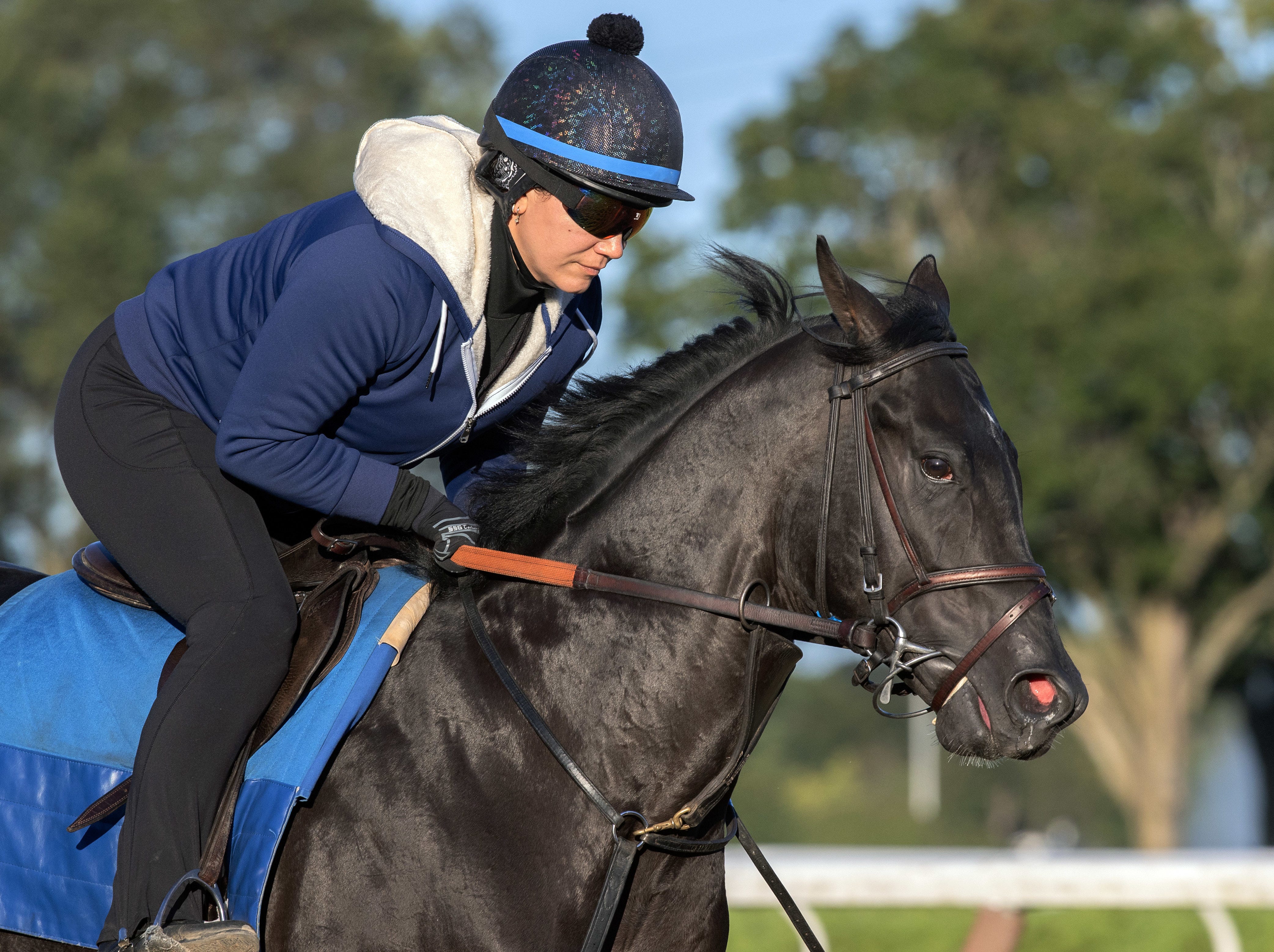 It's Our Time looks to back up dazzling debut in Champagne