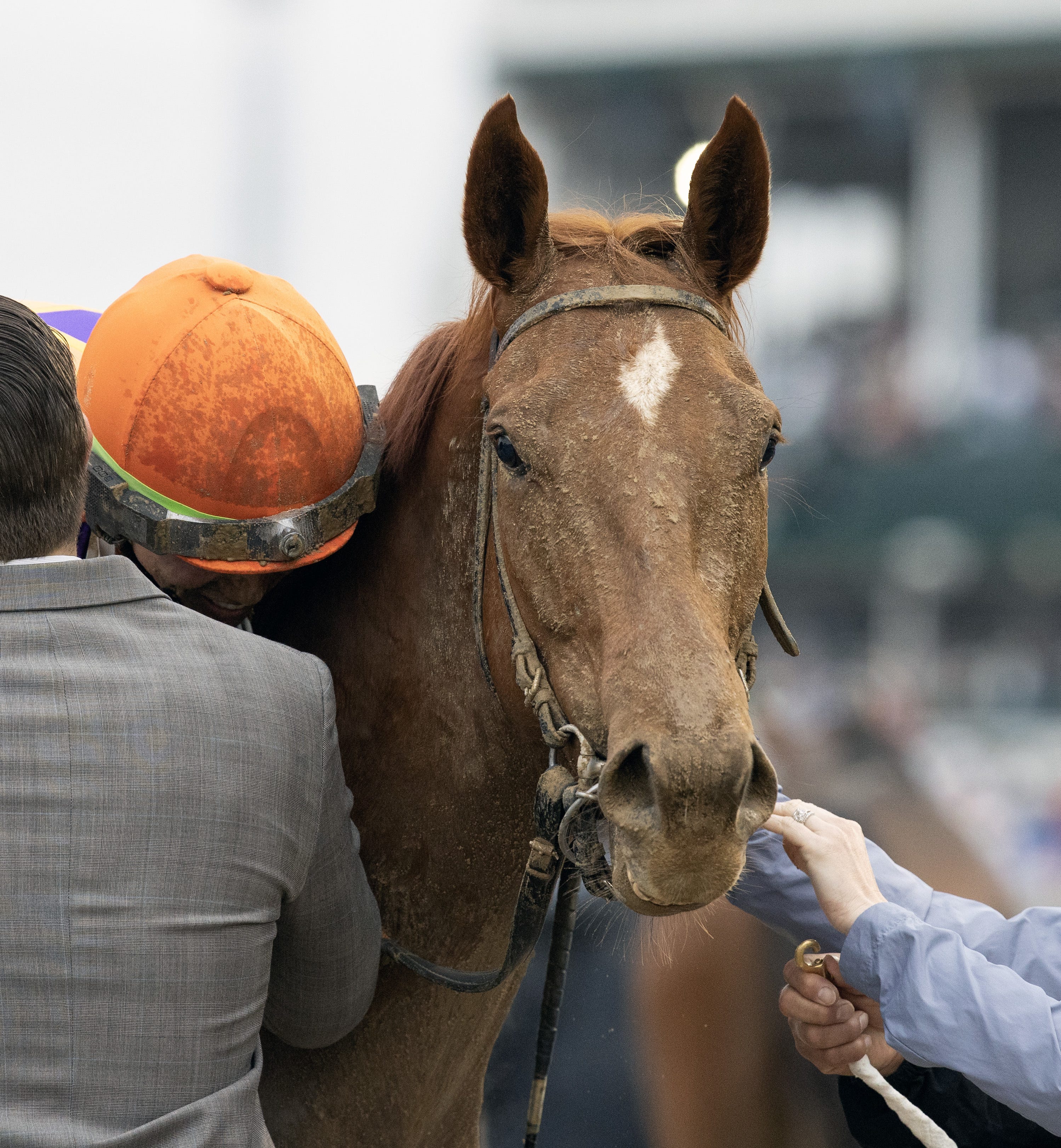 Kopion works quickly ahead of Breeders' Cup Filly and Mare Sprint