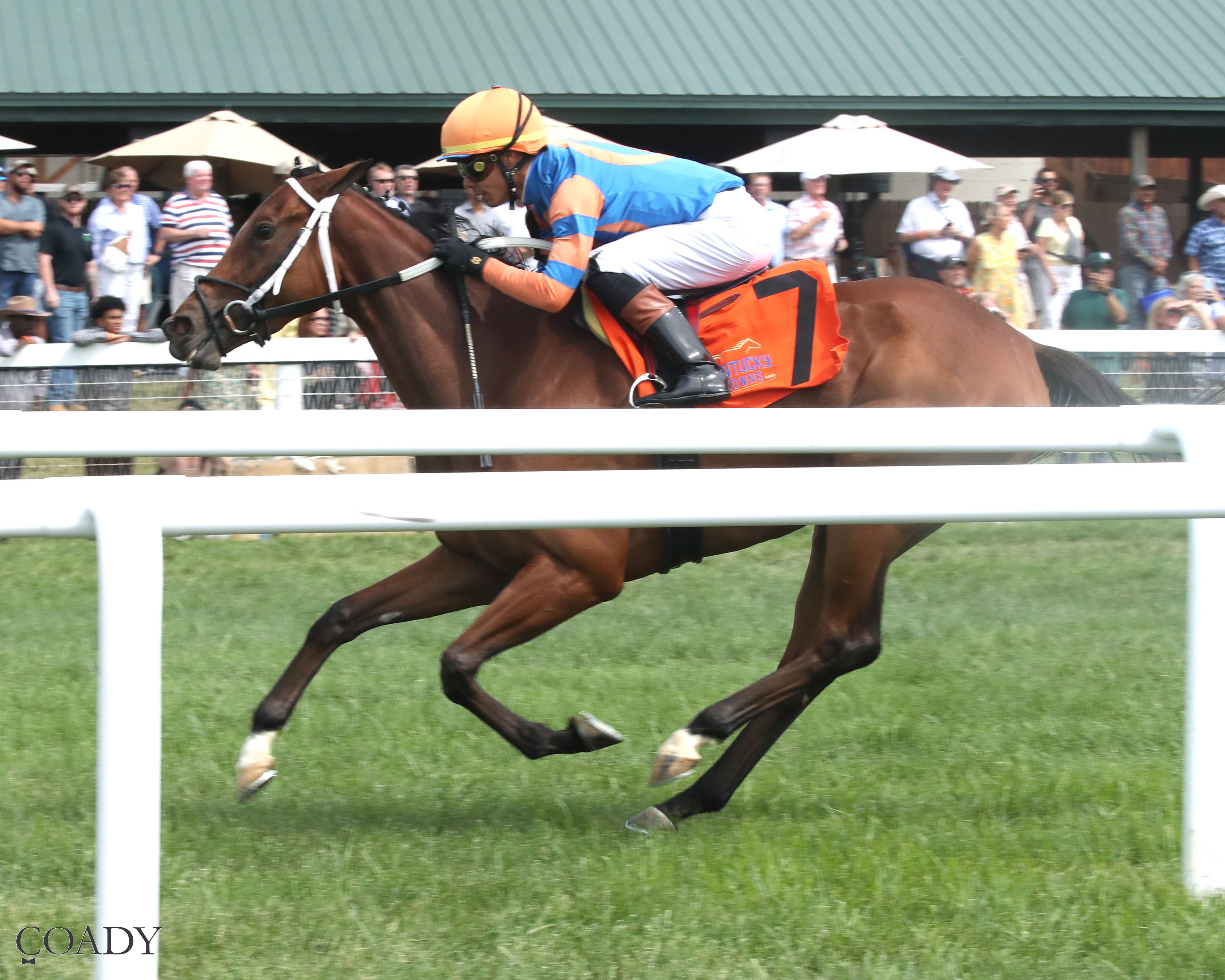 Walsh trio hopes to help trainer stay hot in Dowager Stakes
