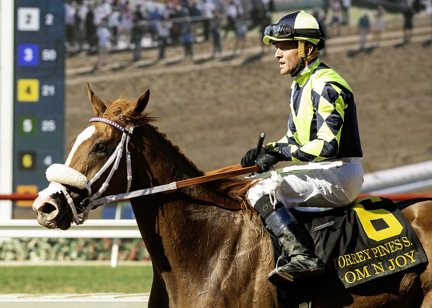 Ordonez confirms Om N Joy for Raven Run