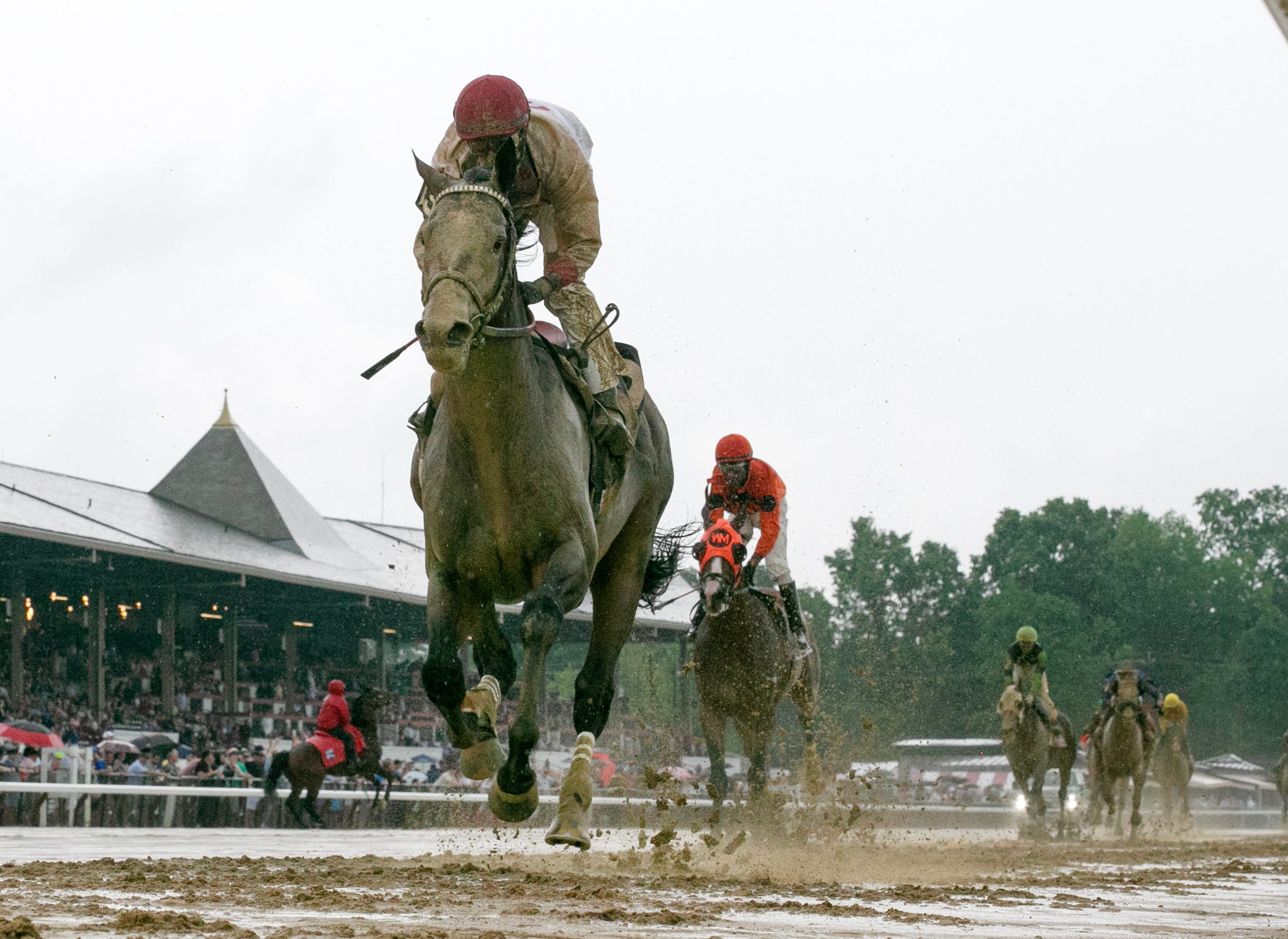 Australia: Parchment Party goes for longshot try at Melbourne Cup