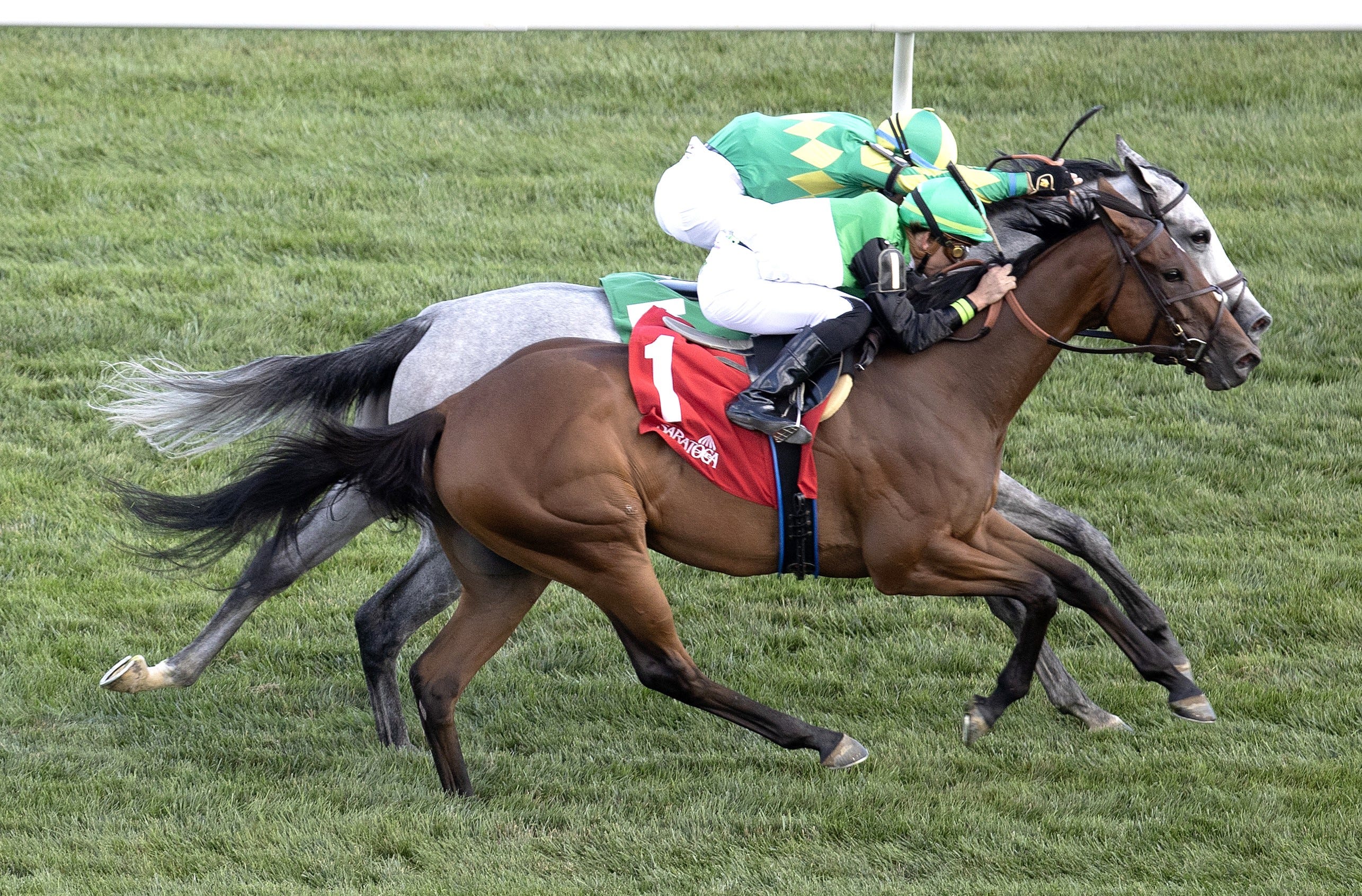 Proctor Street can add to Walsh's hot streak