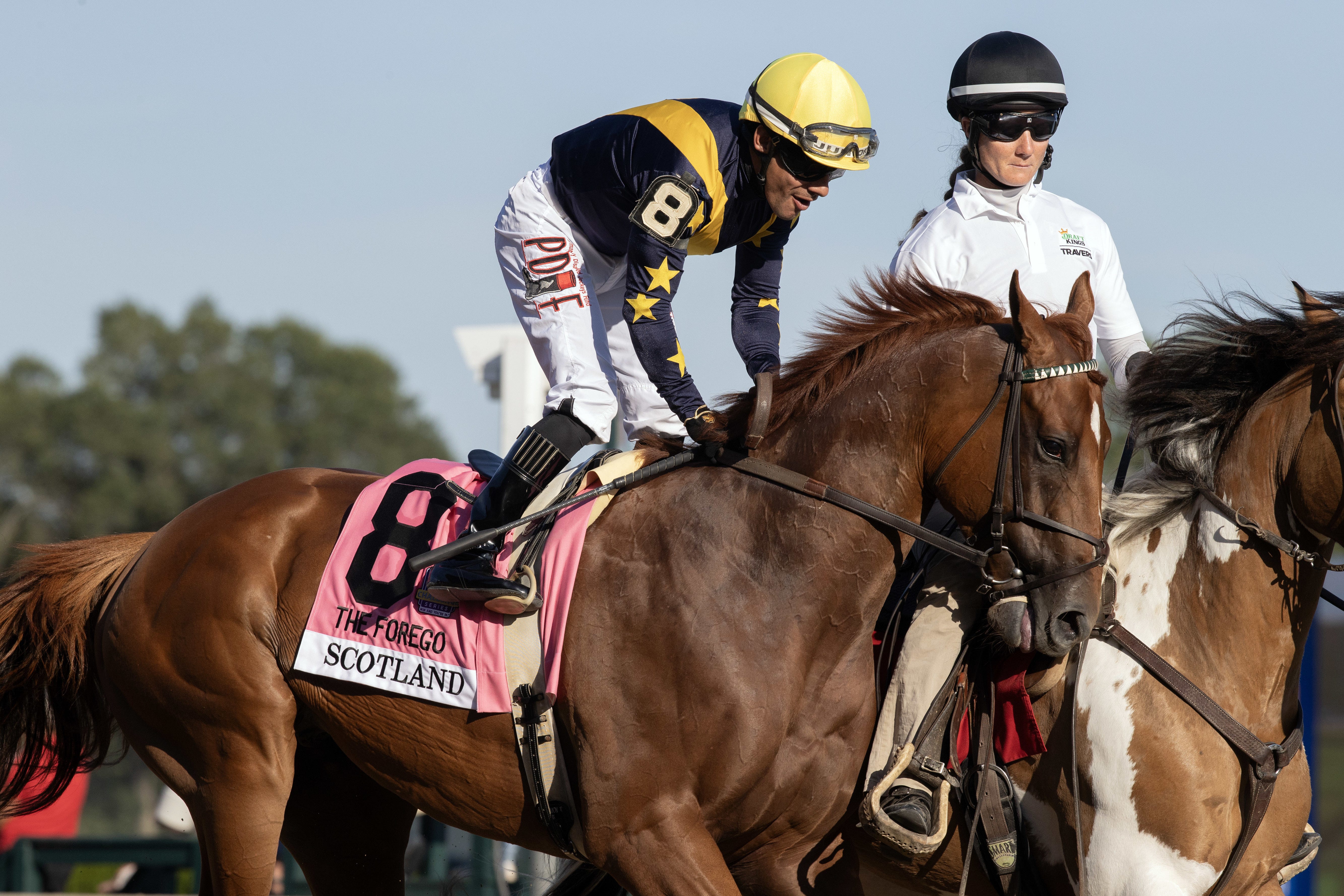 Scotland tries to nail down first graded stakes win in Forty Niner