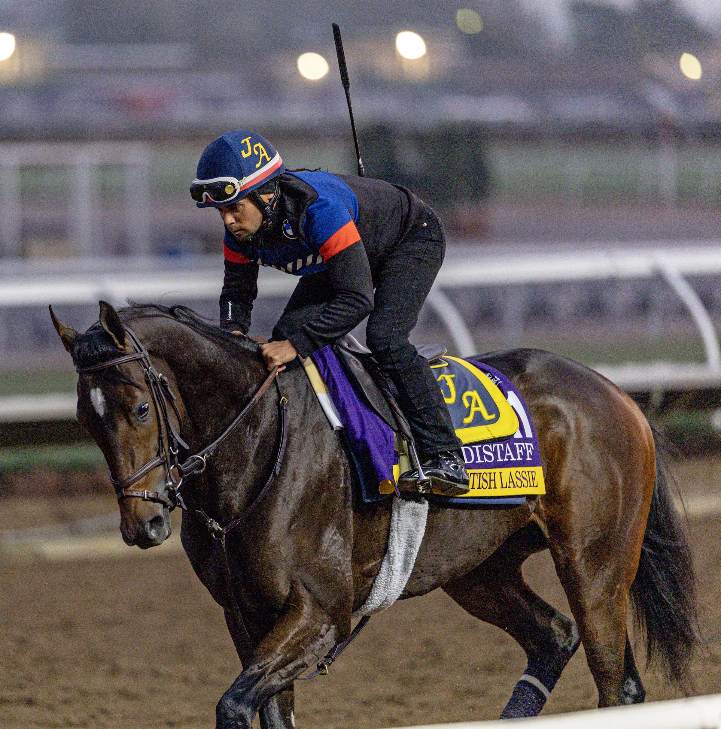Breeders' Cup Distaff: Scottish Lassie out with minor leg issue