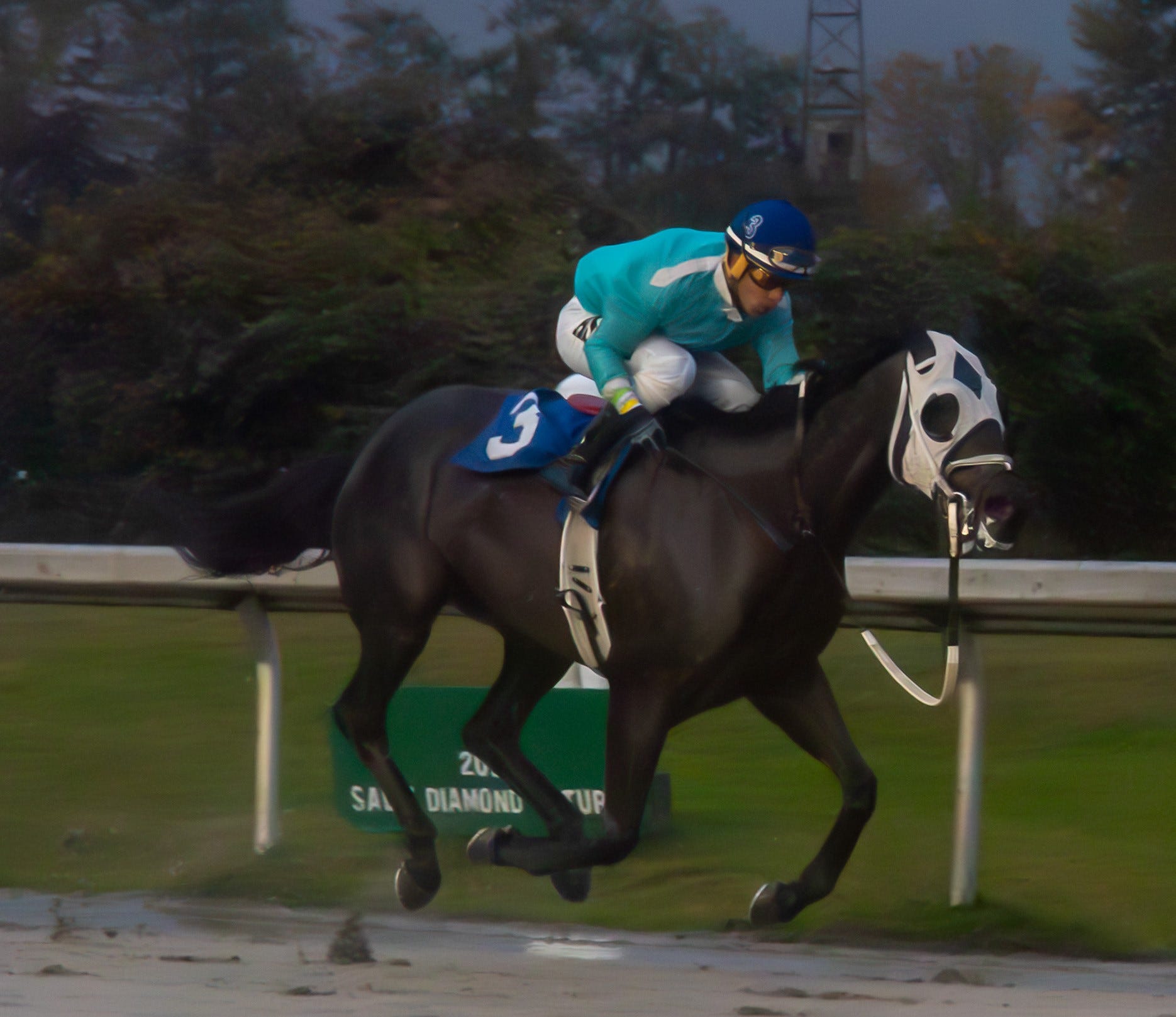 Stormy Blue scores youthful win in shortened, rescheduled Fall Classic