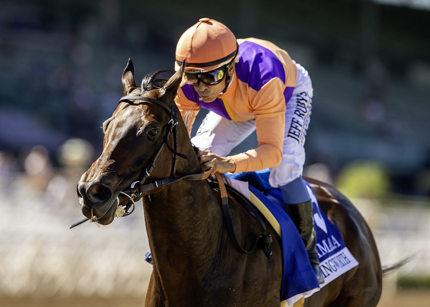 Tamara set to join stablemate Kopion for BC Filly and Mare Sprint