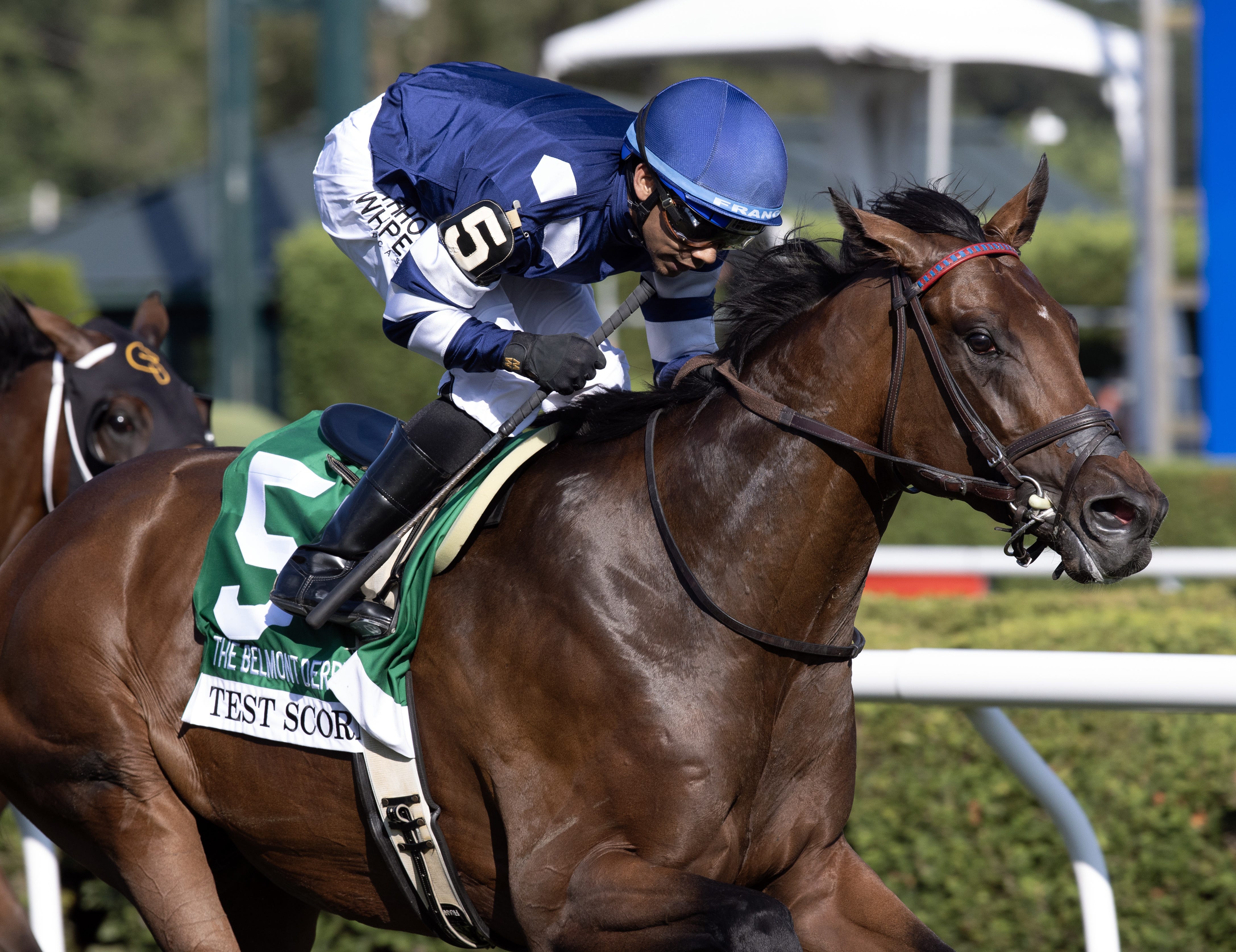 Twilight Derby perfect distance for shipper Test Score