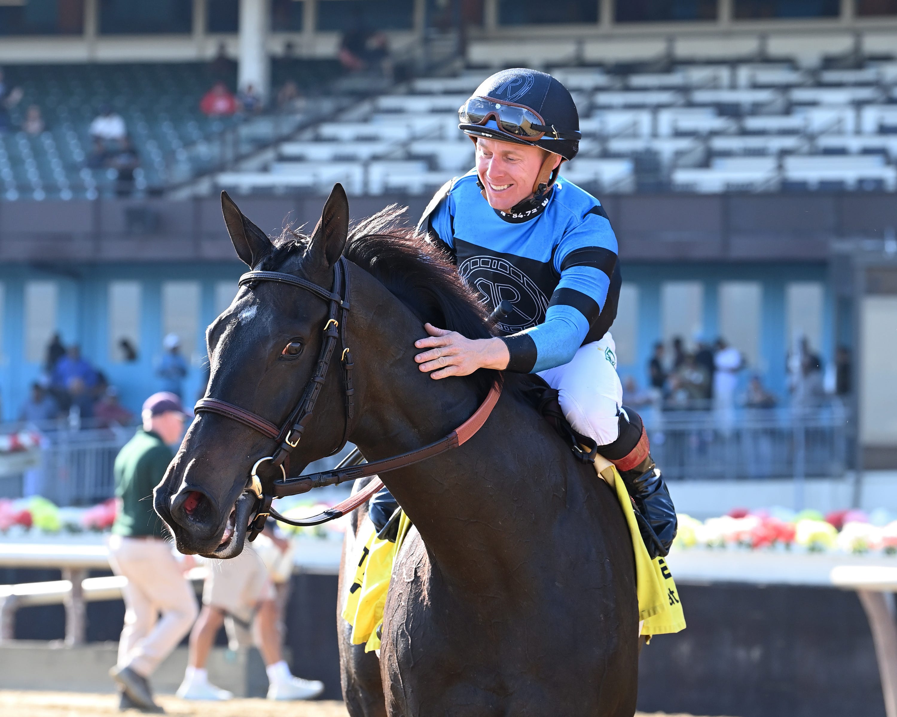Waya winner Village Voice a Breeders' Cup possibility