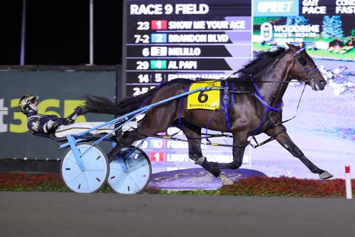 Harness: Best could be yet to come in 2026 racing season
