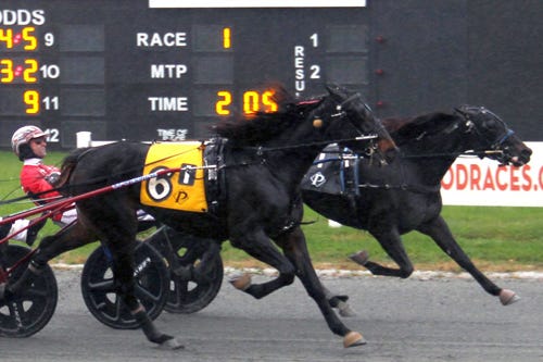 Plainridge: Champions crowned in Massachusetts Breeders Stakes