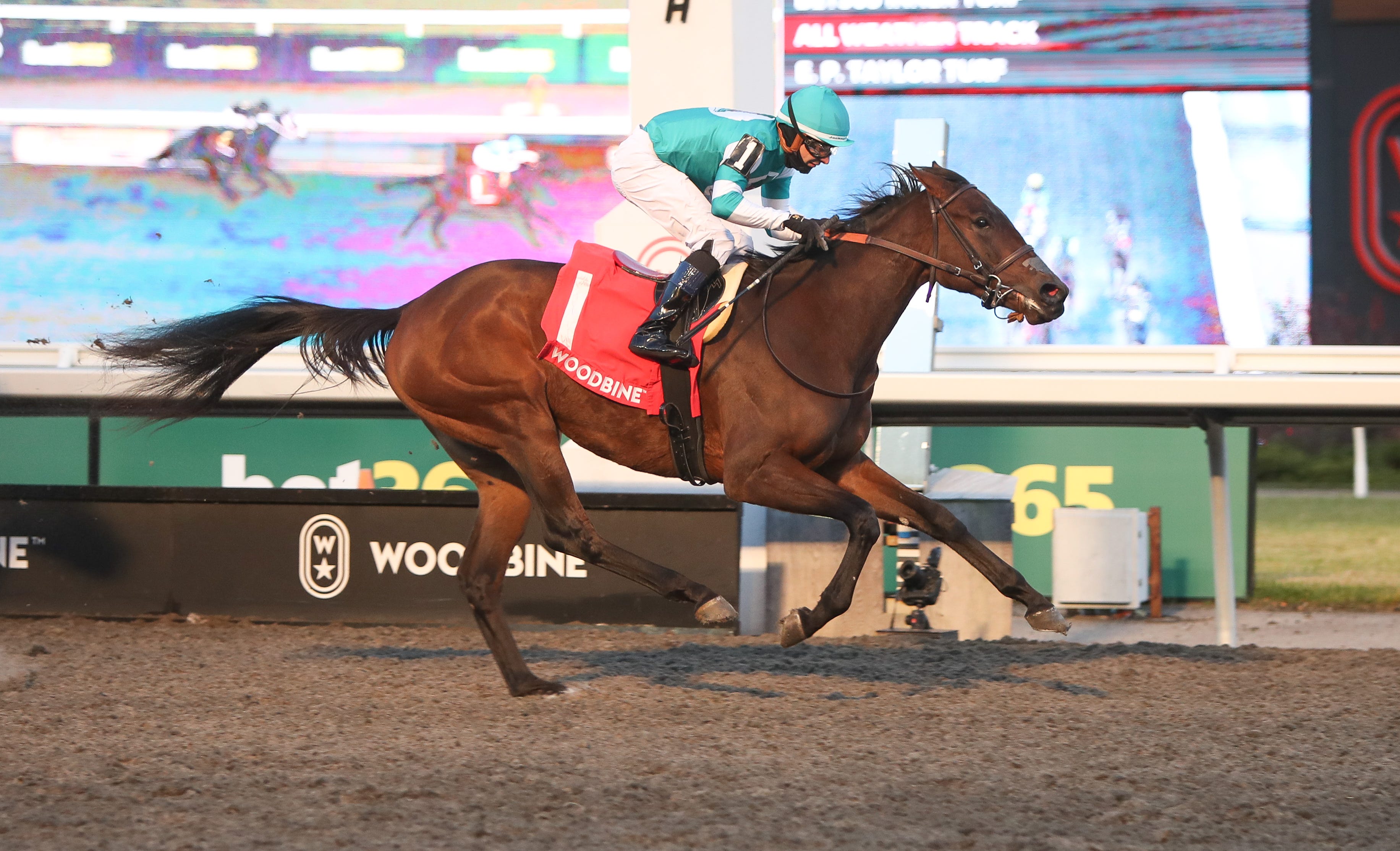 Bossy Candy, Hernandez find sweet spot in Shady Well Stakes