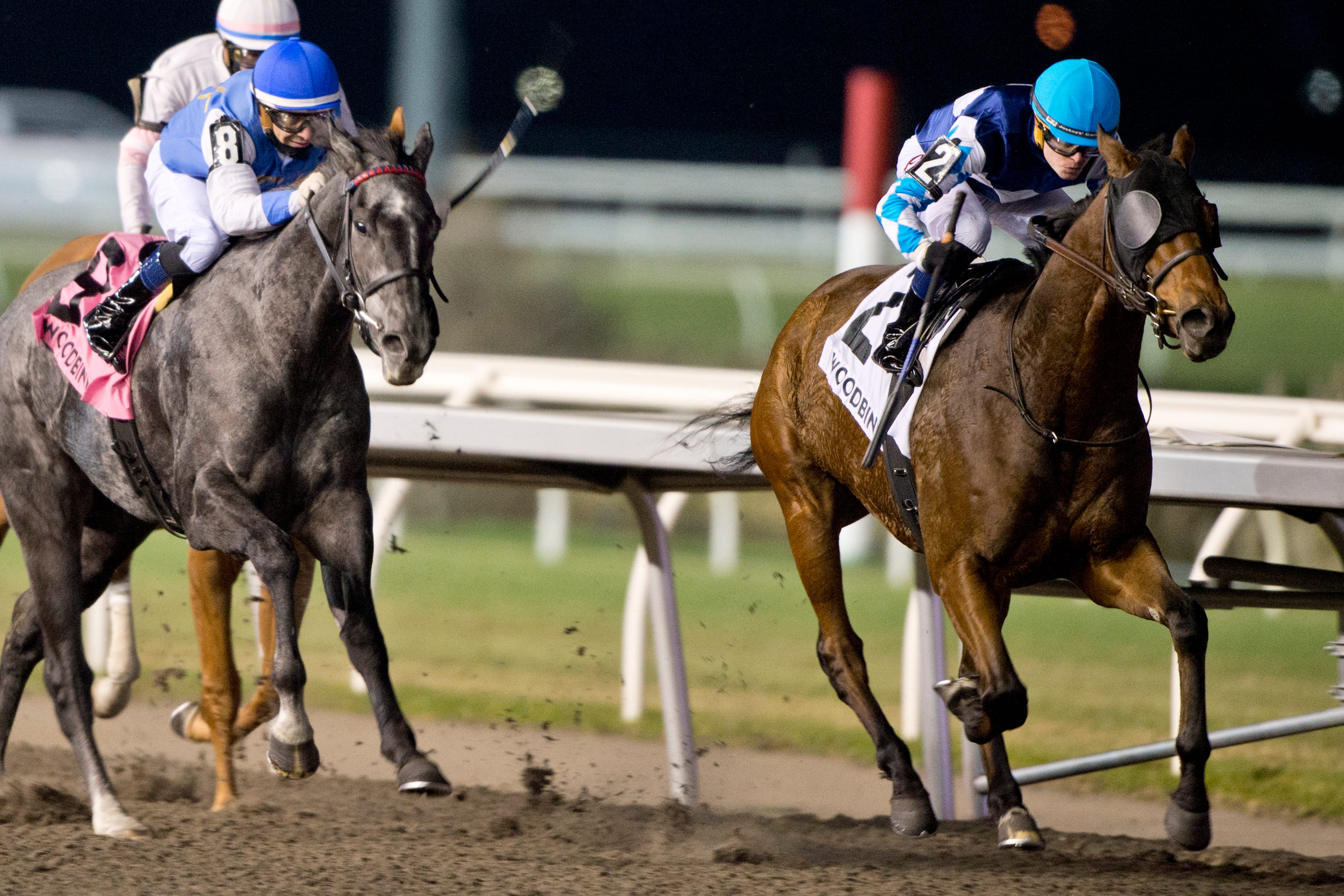 Ella It is, one-eyed Kekoa prevail in 3-year-old stakes
