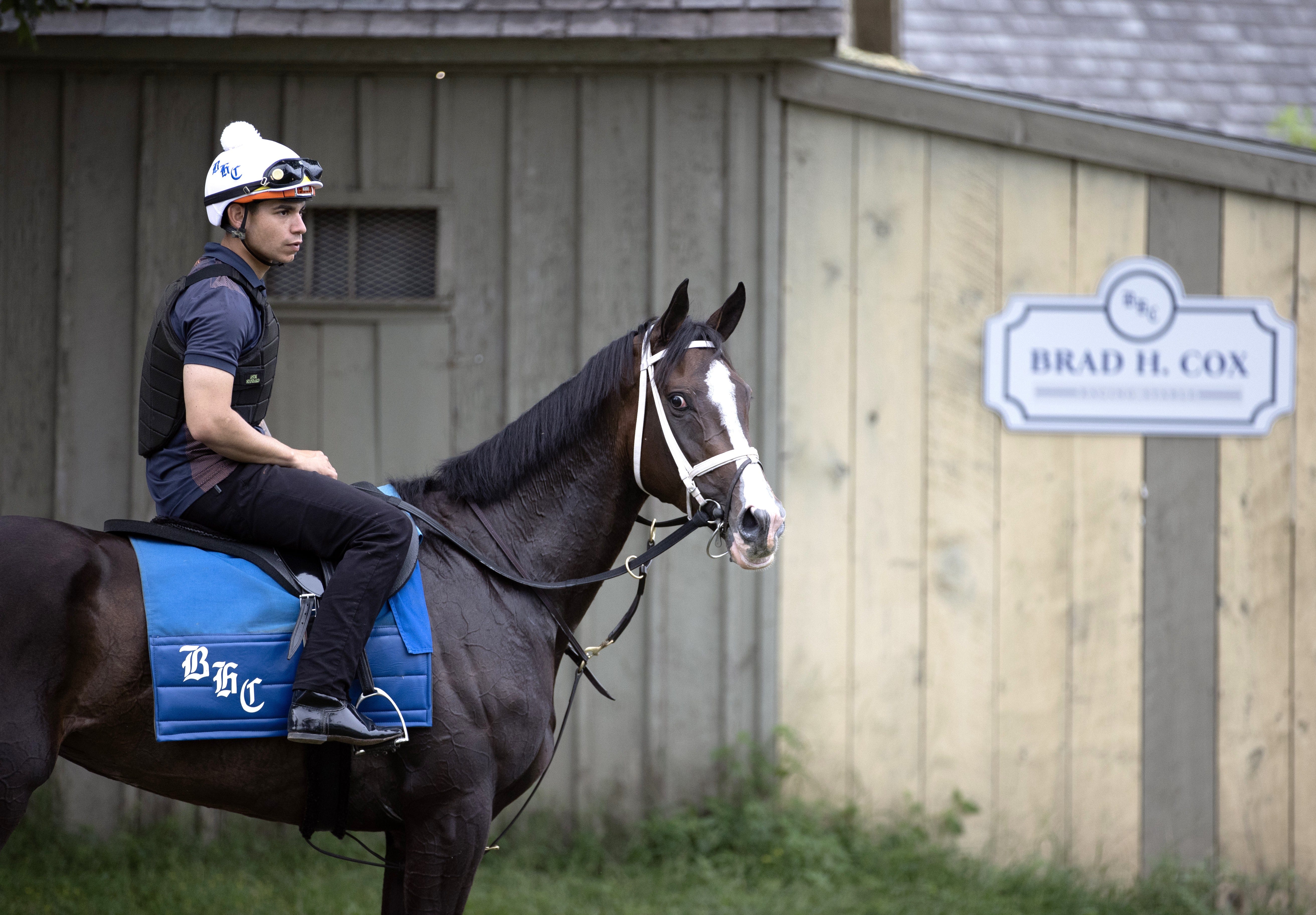 Immersive, Good Cheer to race in 2026