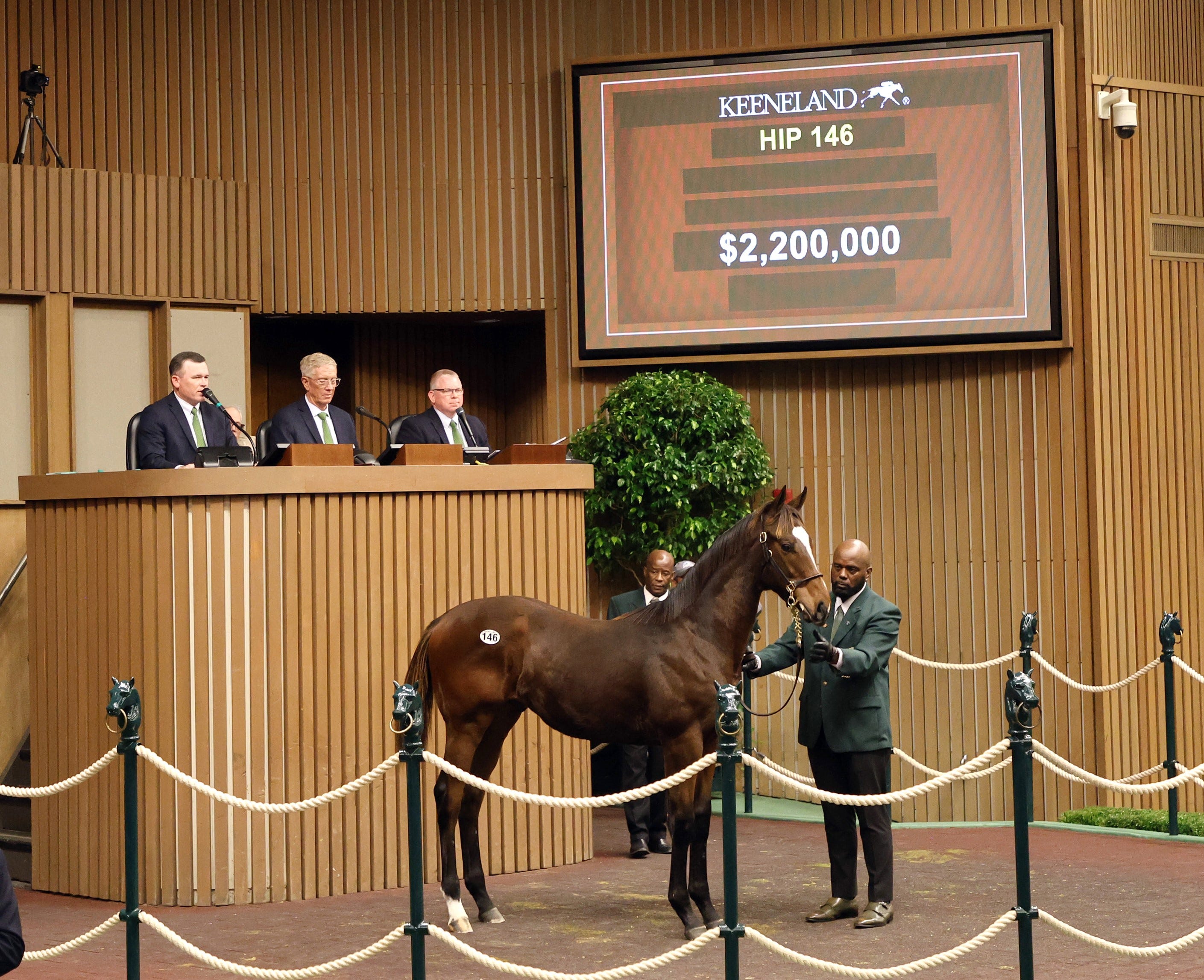 Keeneland November: Demand for weanlings leads to double-digit gains in ...
