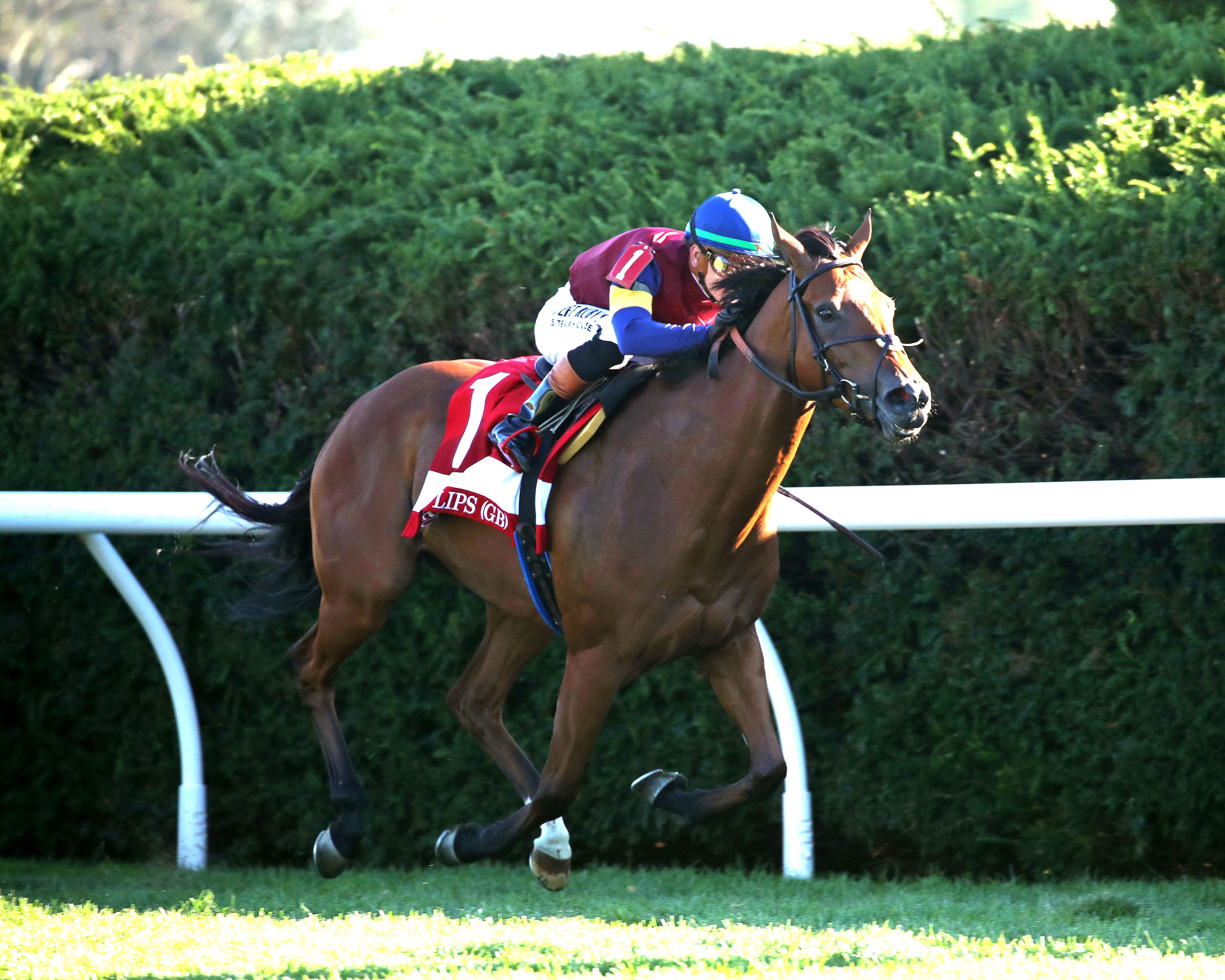Walsh not done yet as career-best year continues