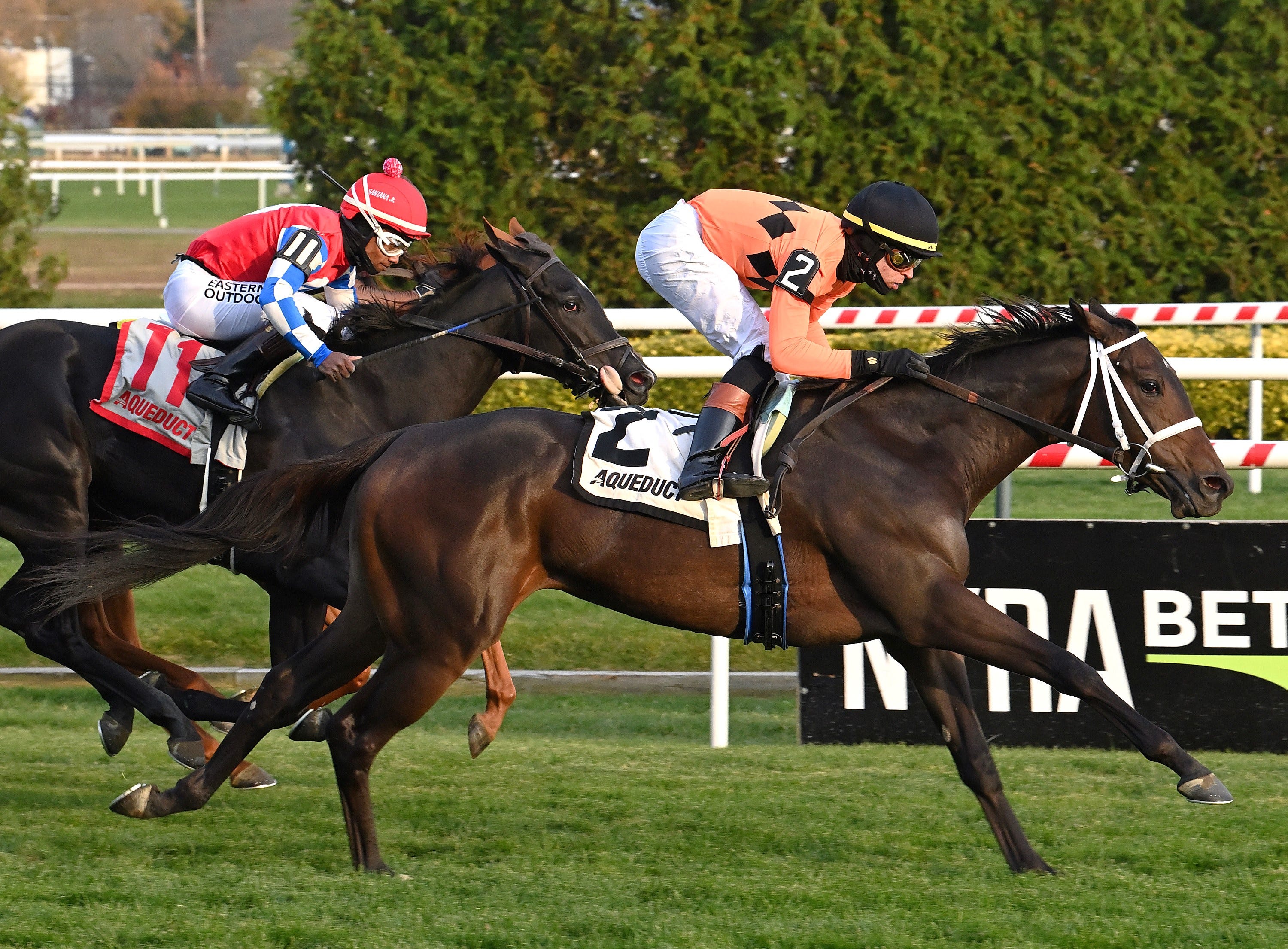 Attfield, Map of the Moon take 2-year-old turf stakes