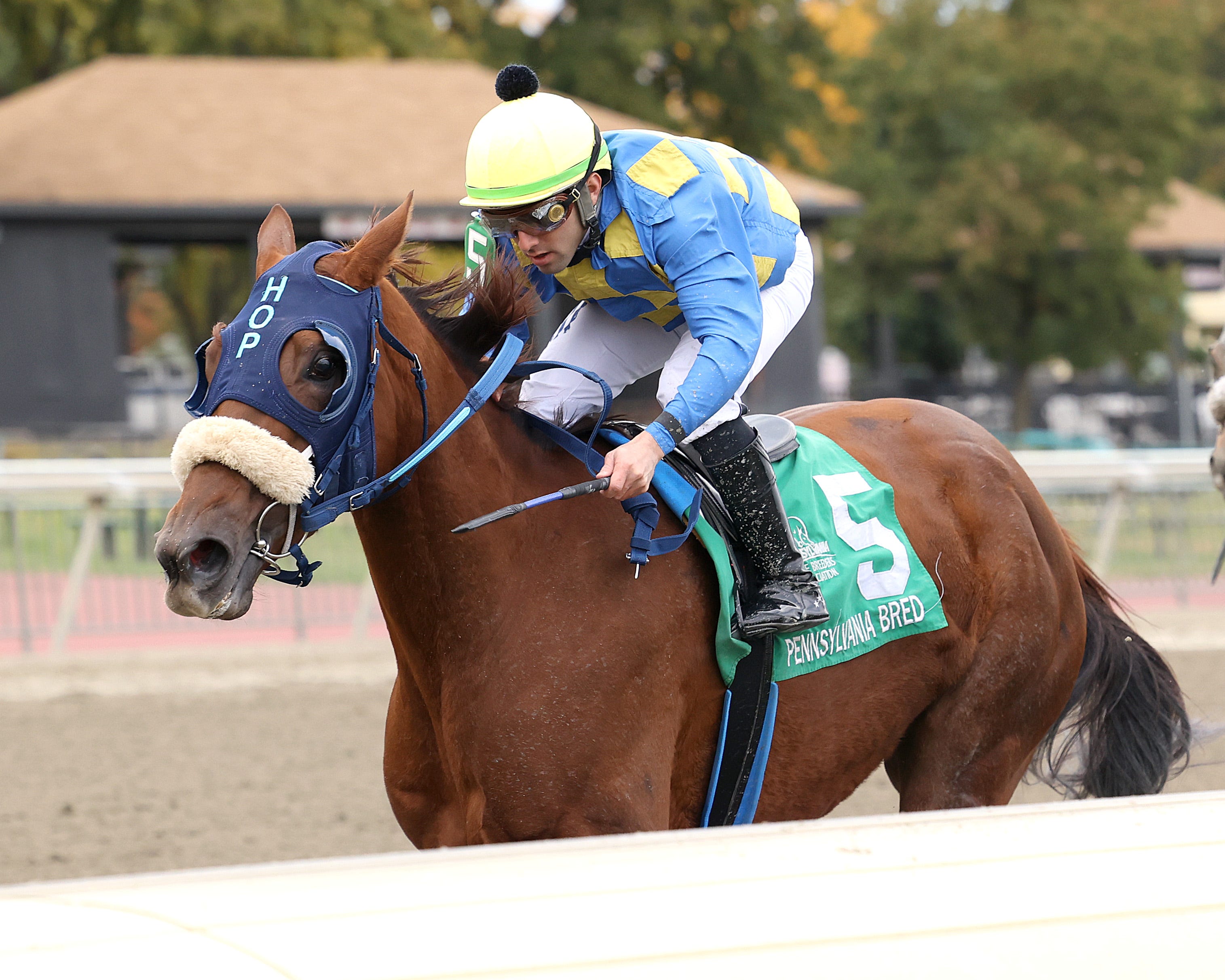 Padilla weighing options for Nature's Candy