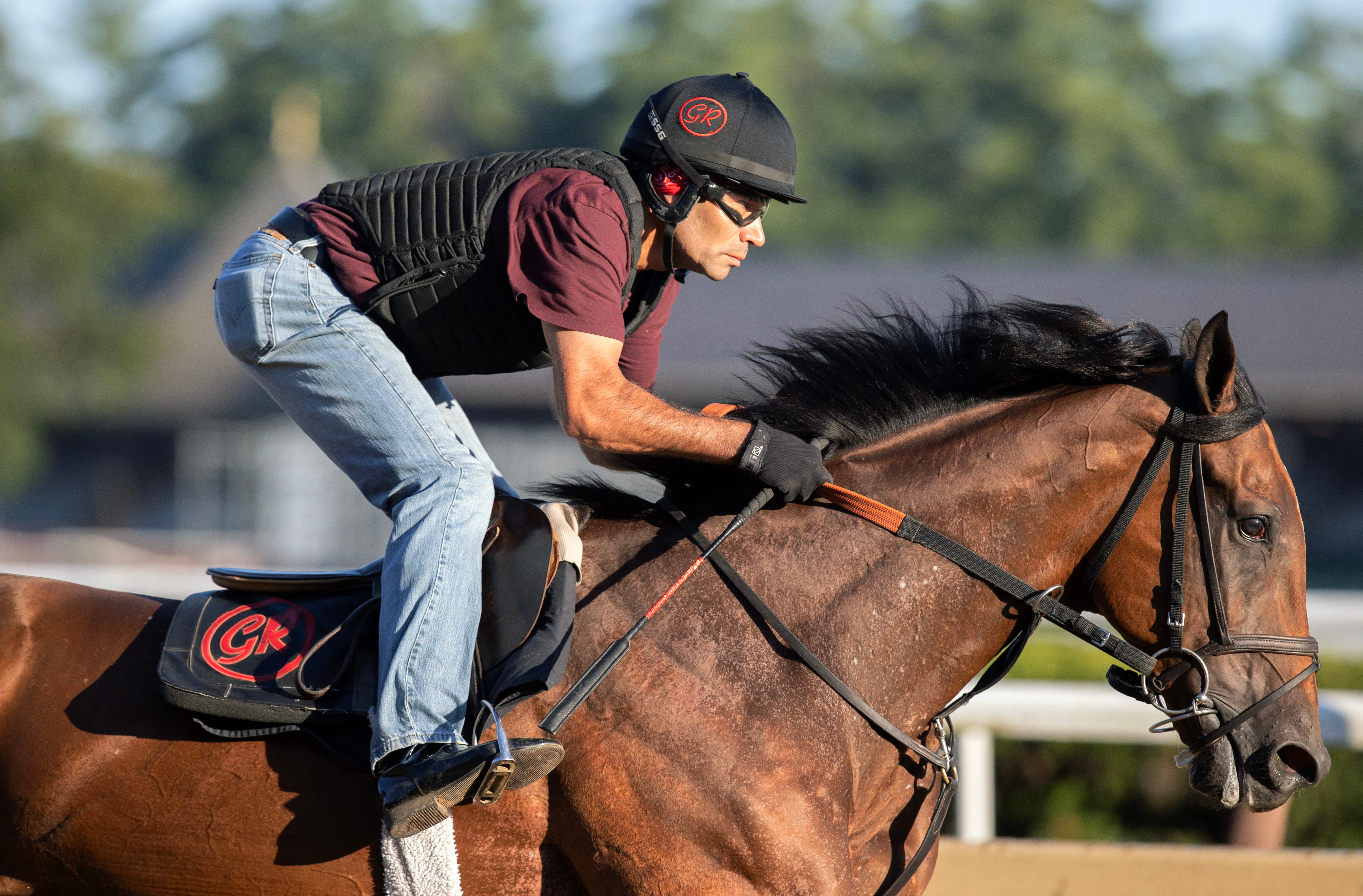 Seven entered for Cigar Mile, Rated by Merit not among them