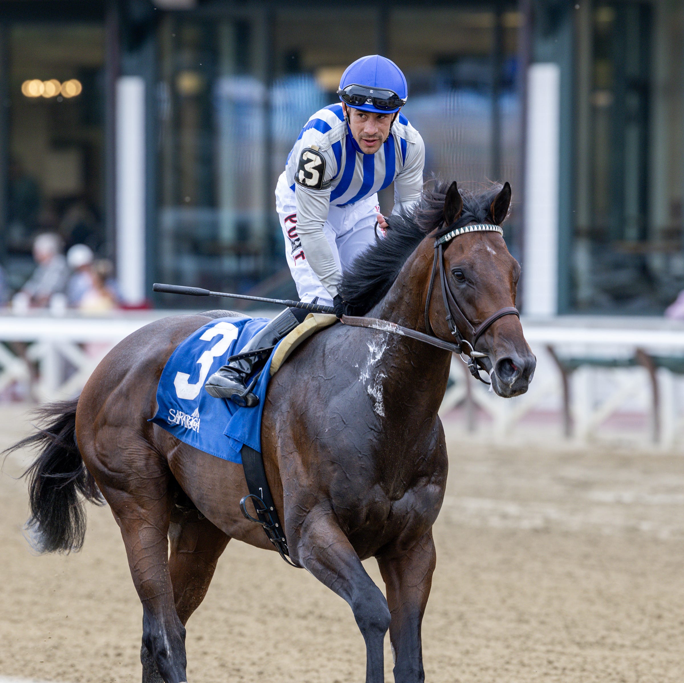 Stars and Strides targets first graded stakes win in Hill Prince