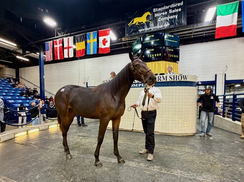 Harness: Climatic Hanover heads first day of 2025 Standardbred Horse Sale