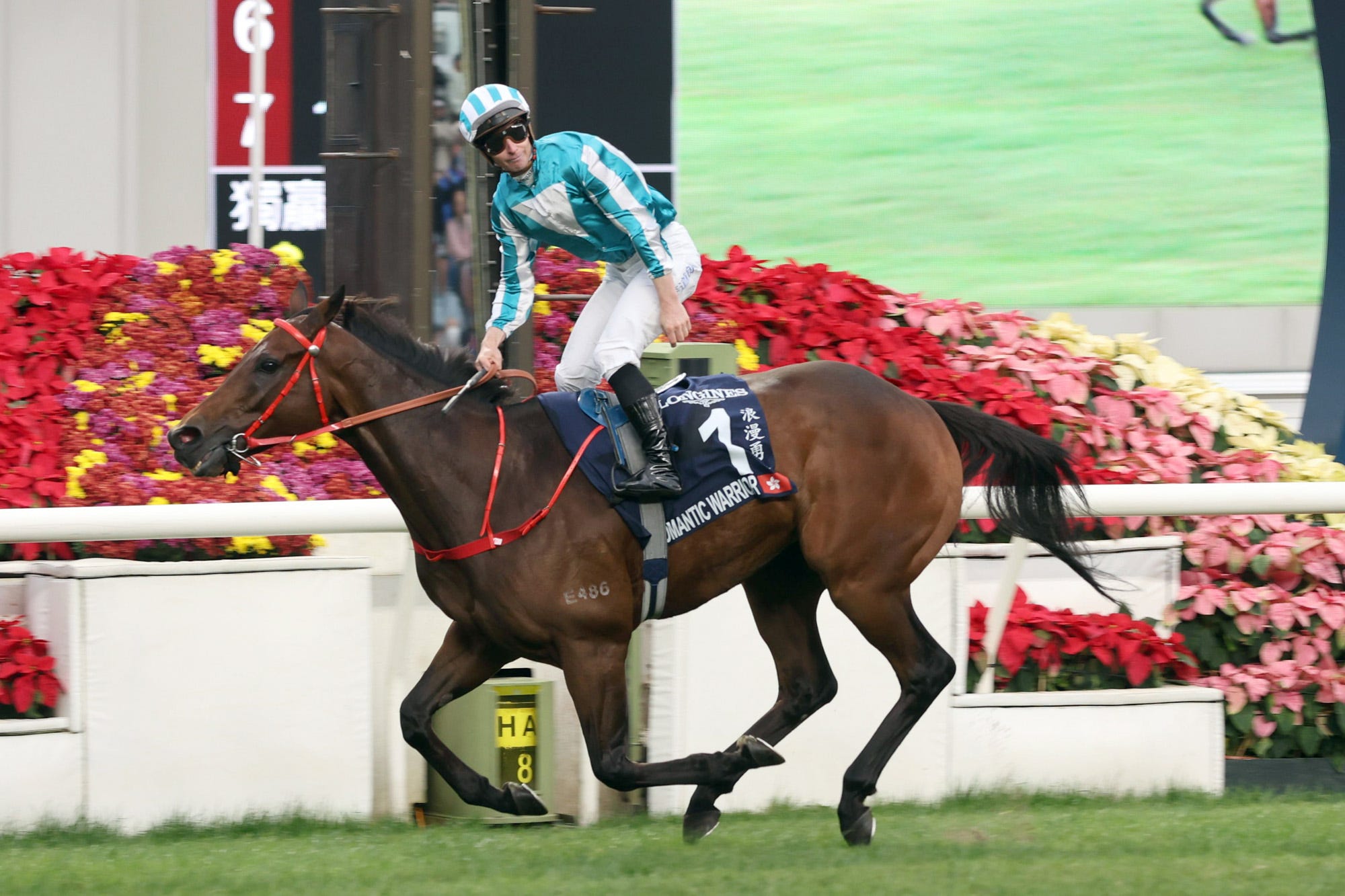 Romantic Warrior set for long-awaited Hong Kong return in G2 BOCHK ...