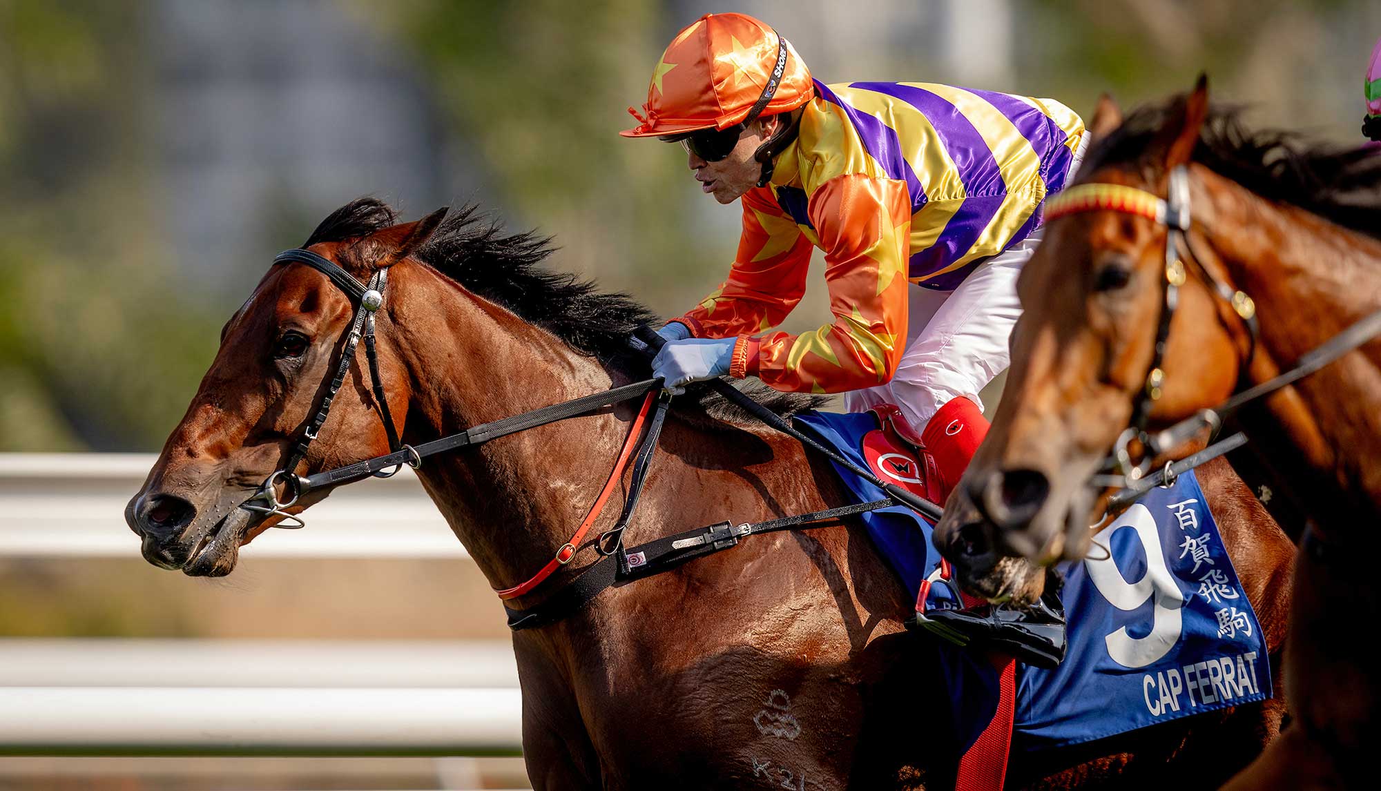 Purton banking on Cap Ferrat's untapped potential in Sa Sa Ladies’ Purse