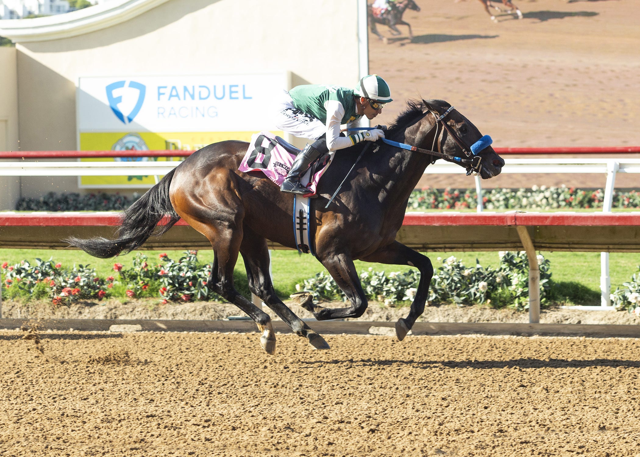 Can't Help Myself meets easier rivals in King Glorious