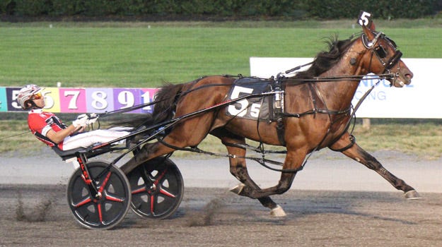 Harness: Captain Optimistic to race and breed in 2026
