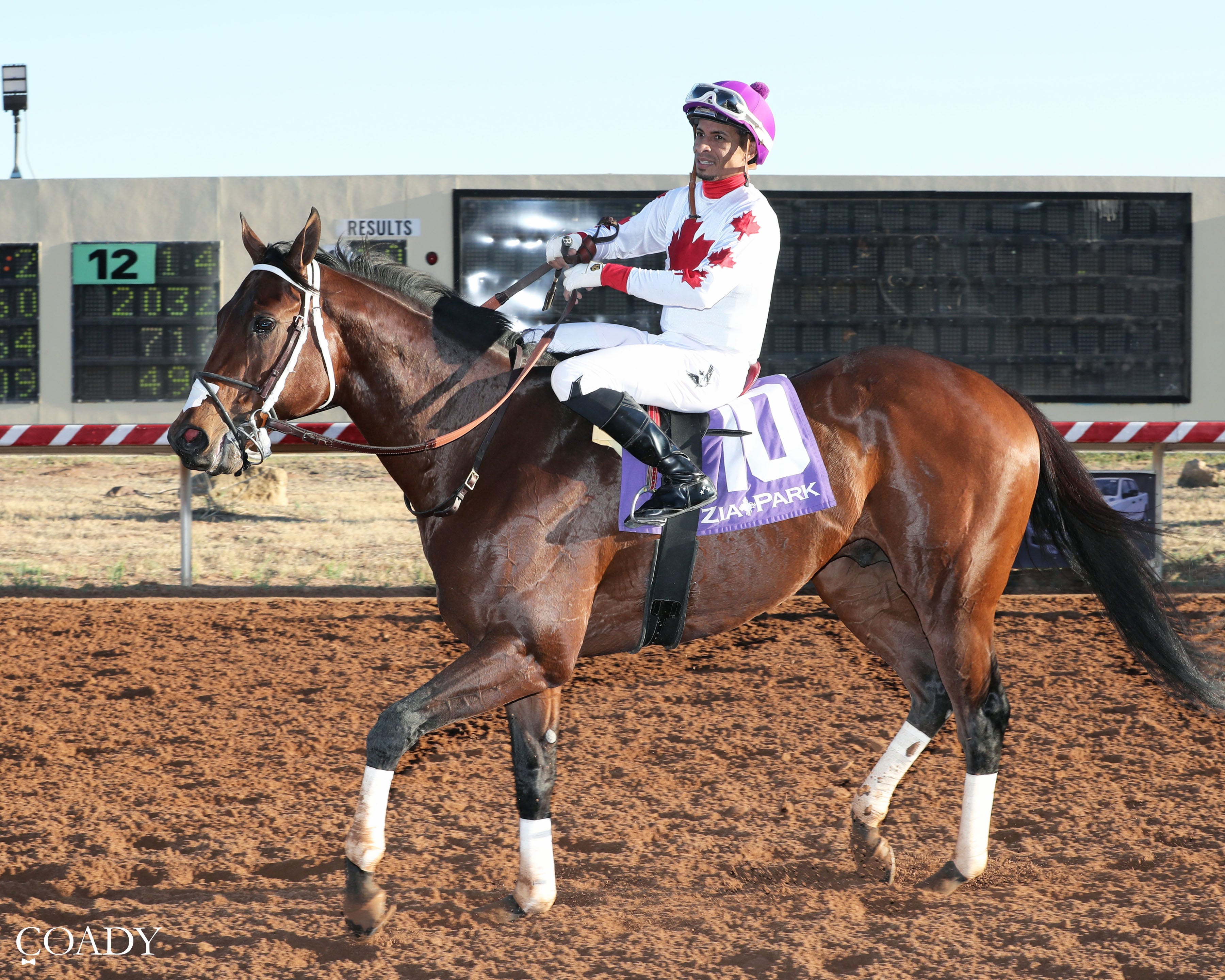 Heroic Move takes on past winners in Hawk Memorial