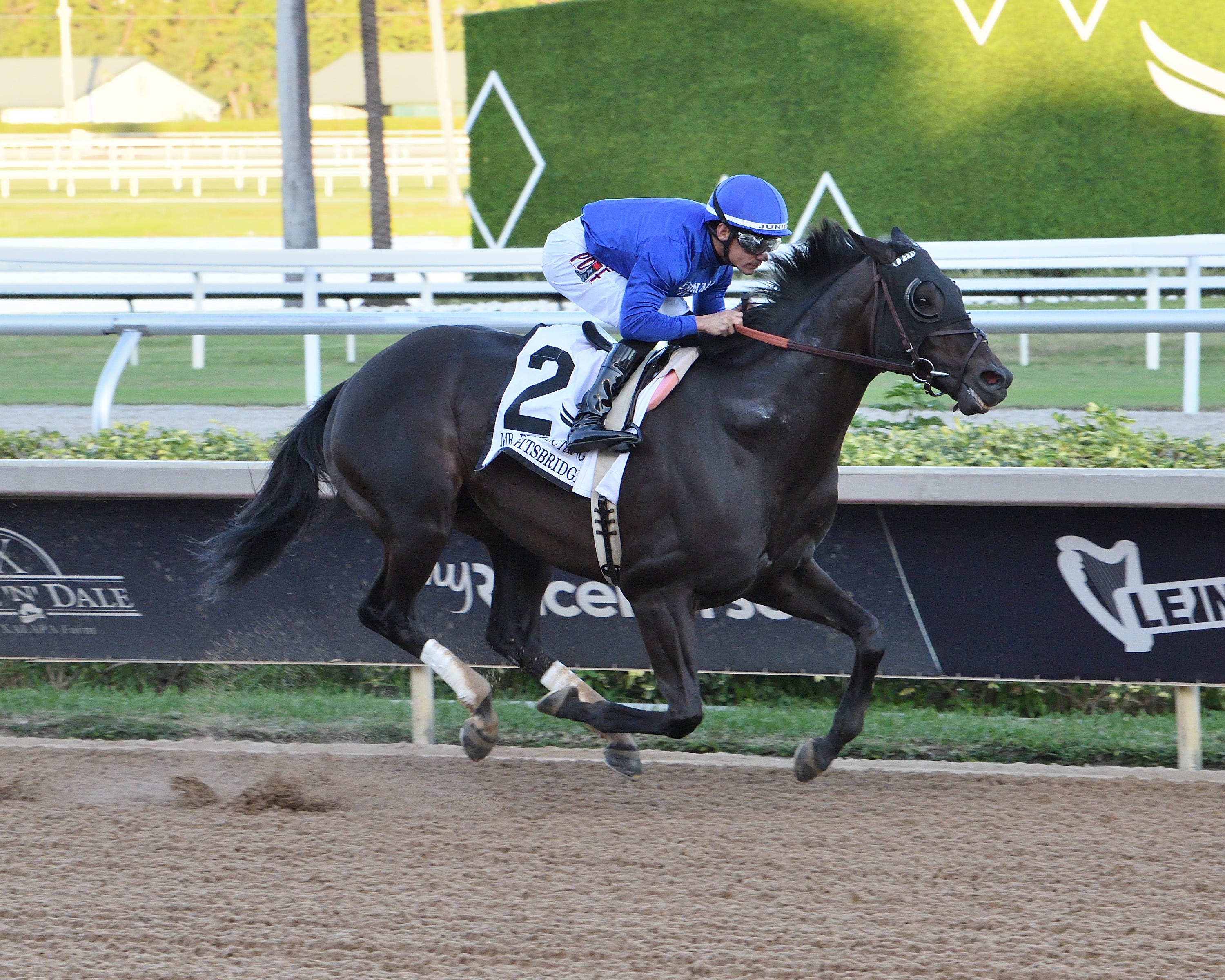 Knightsbridge has easy time with Mr. Prospector for first stakes triumph