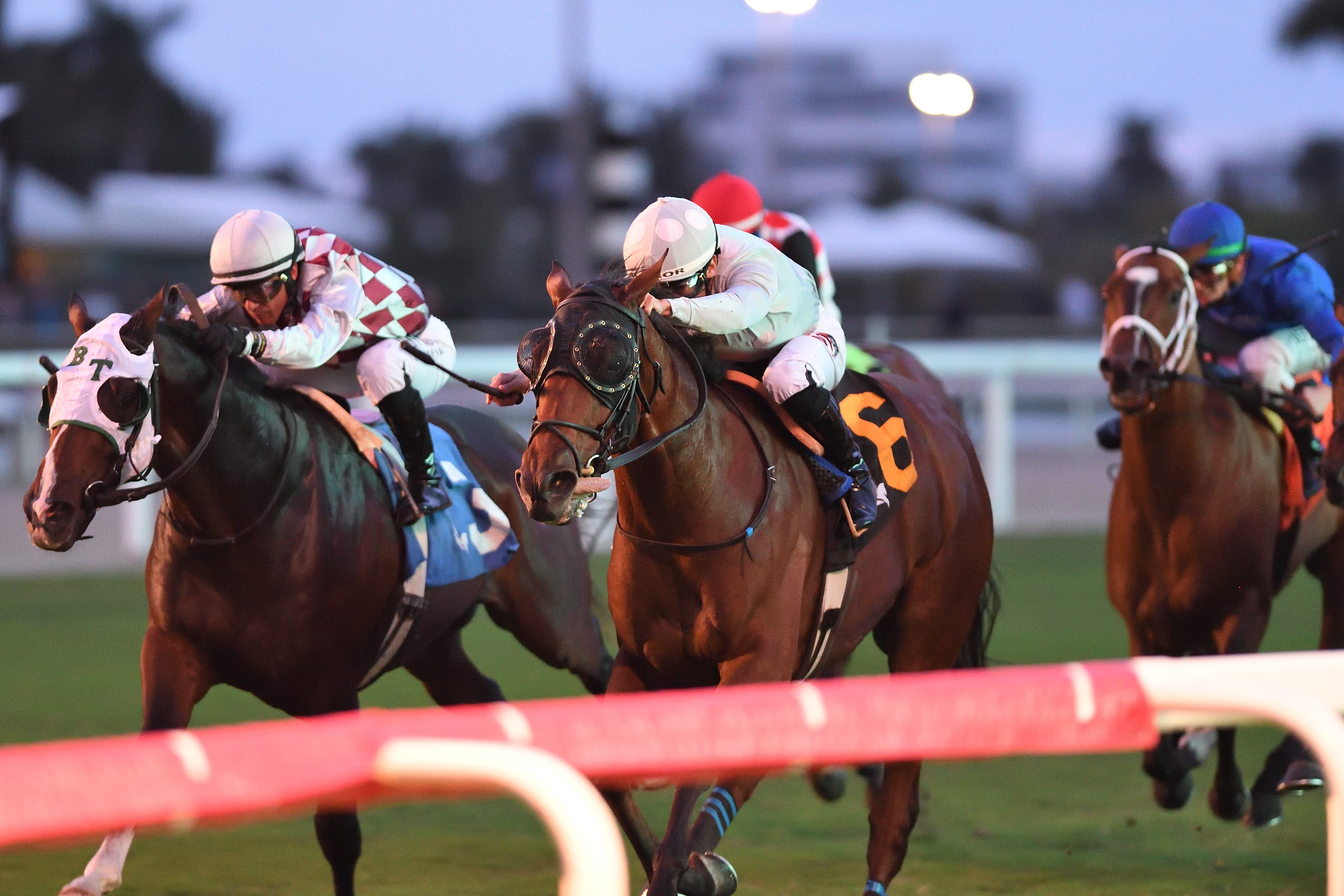 Layabout nails first part of Biancone's plan with Tropical Park Derby win