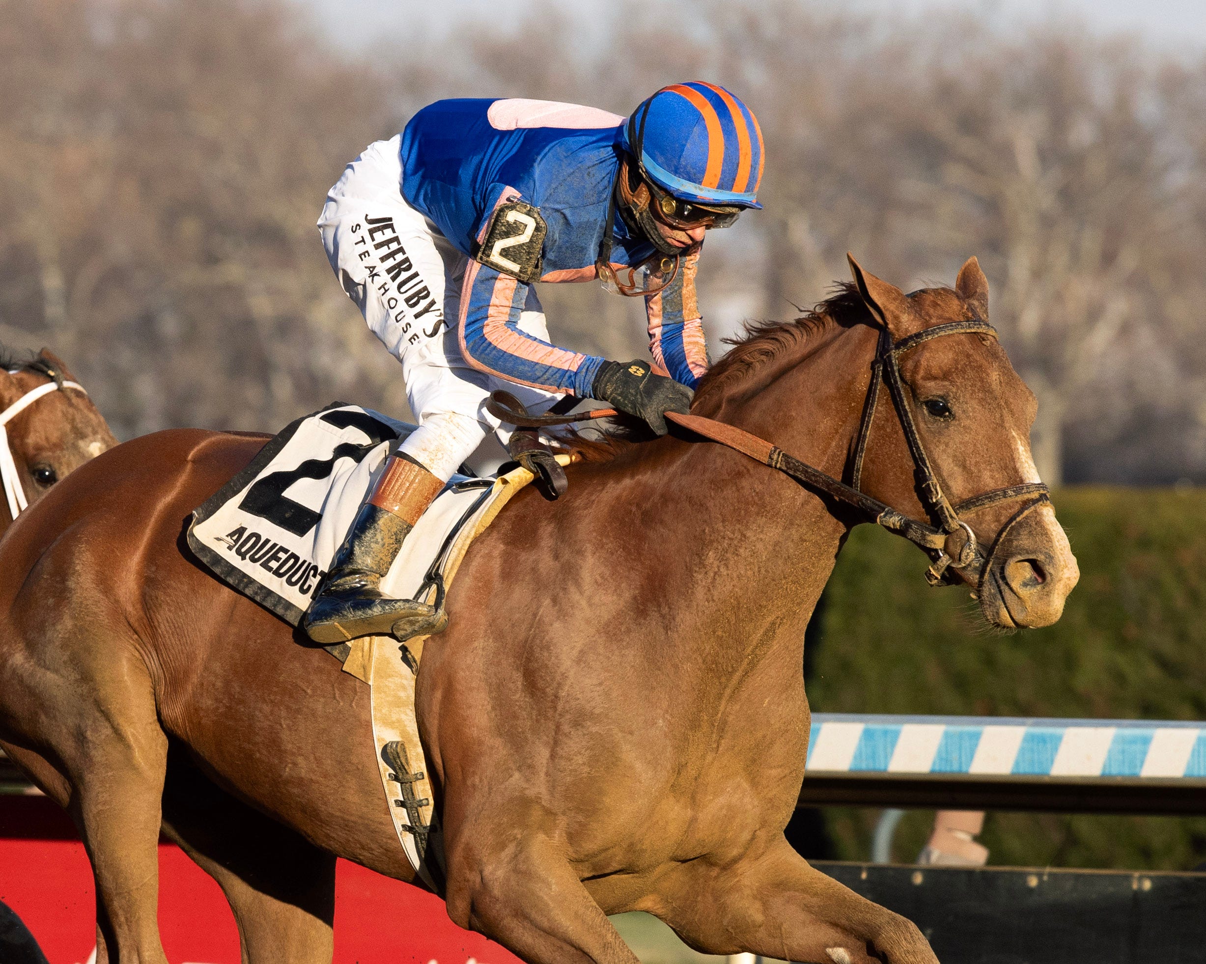 Paladin, Renegade may take different paths on Derby trail